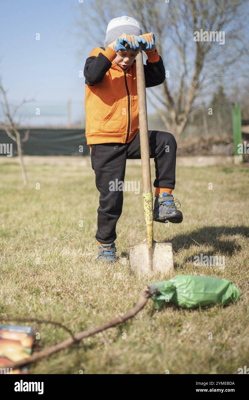 Six-year-old boy in the garden plants tree during sunny spring day ...