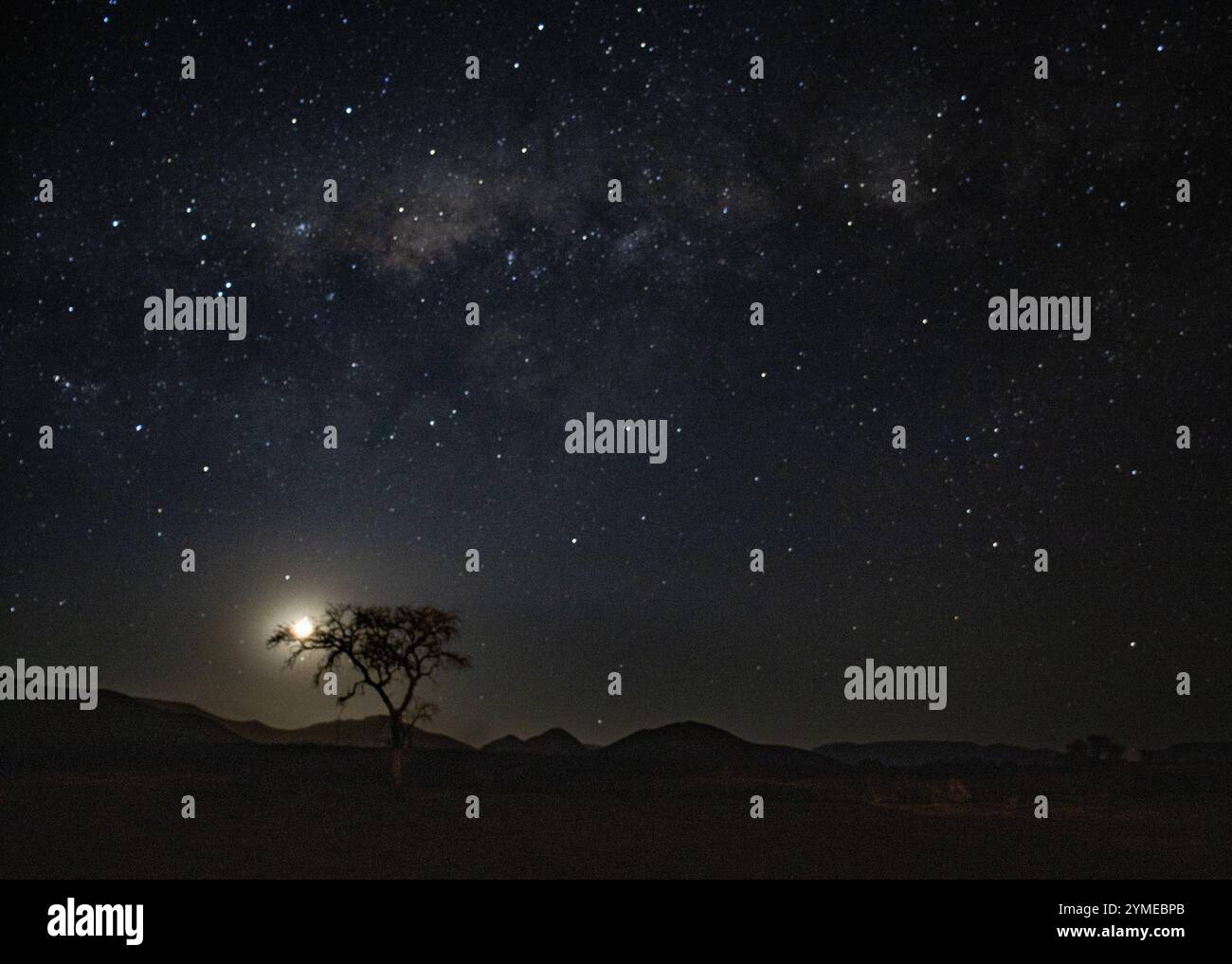 Milkyway and stars in the african sky Stock Photo - Alamy