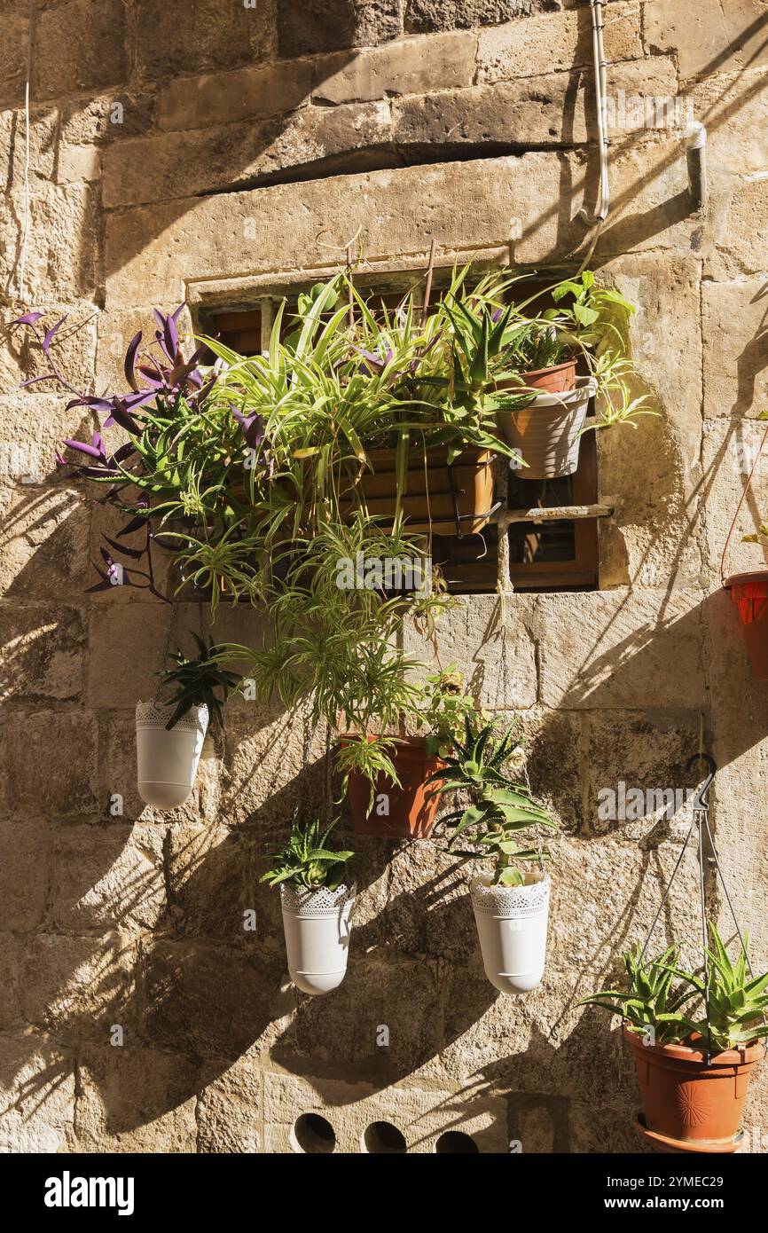 Hanging basket on stone wall hi-res stock photography and images - Alamy