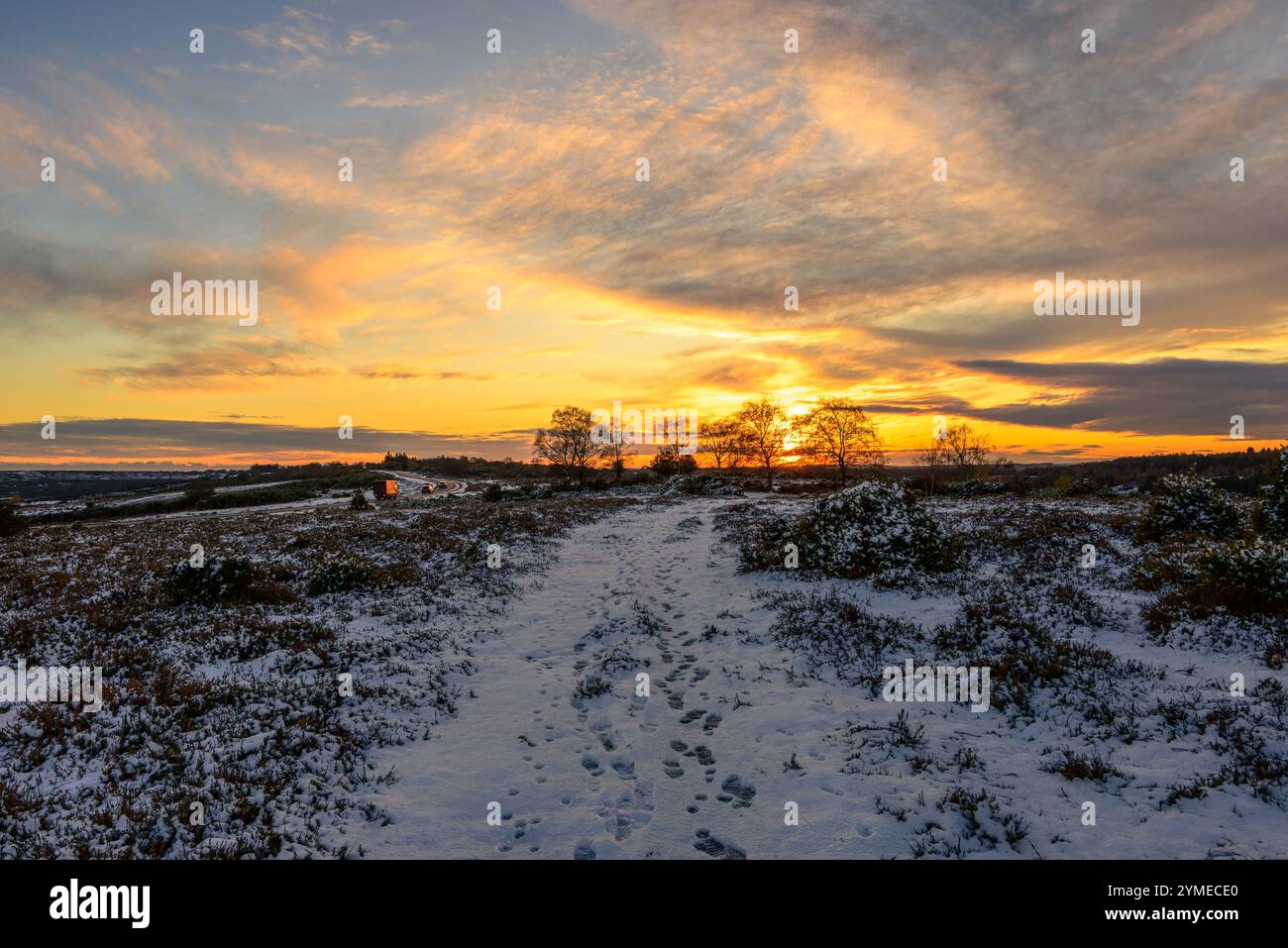 Godshill, New Forest, Hampshire, England, UK, 21st November 2024 ...