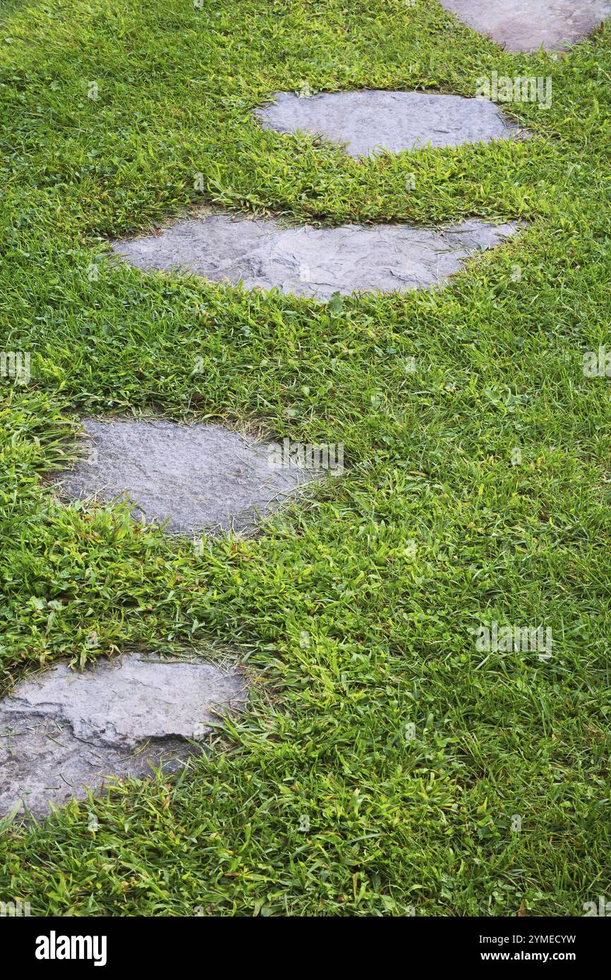 Stepping stone path in lawn hi-res stock photography and images - Alamy