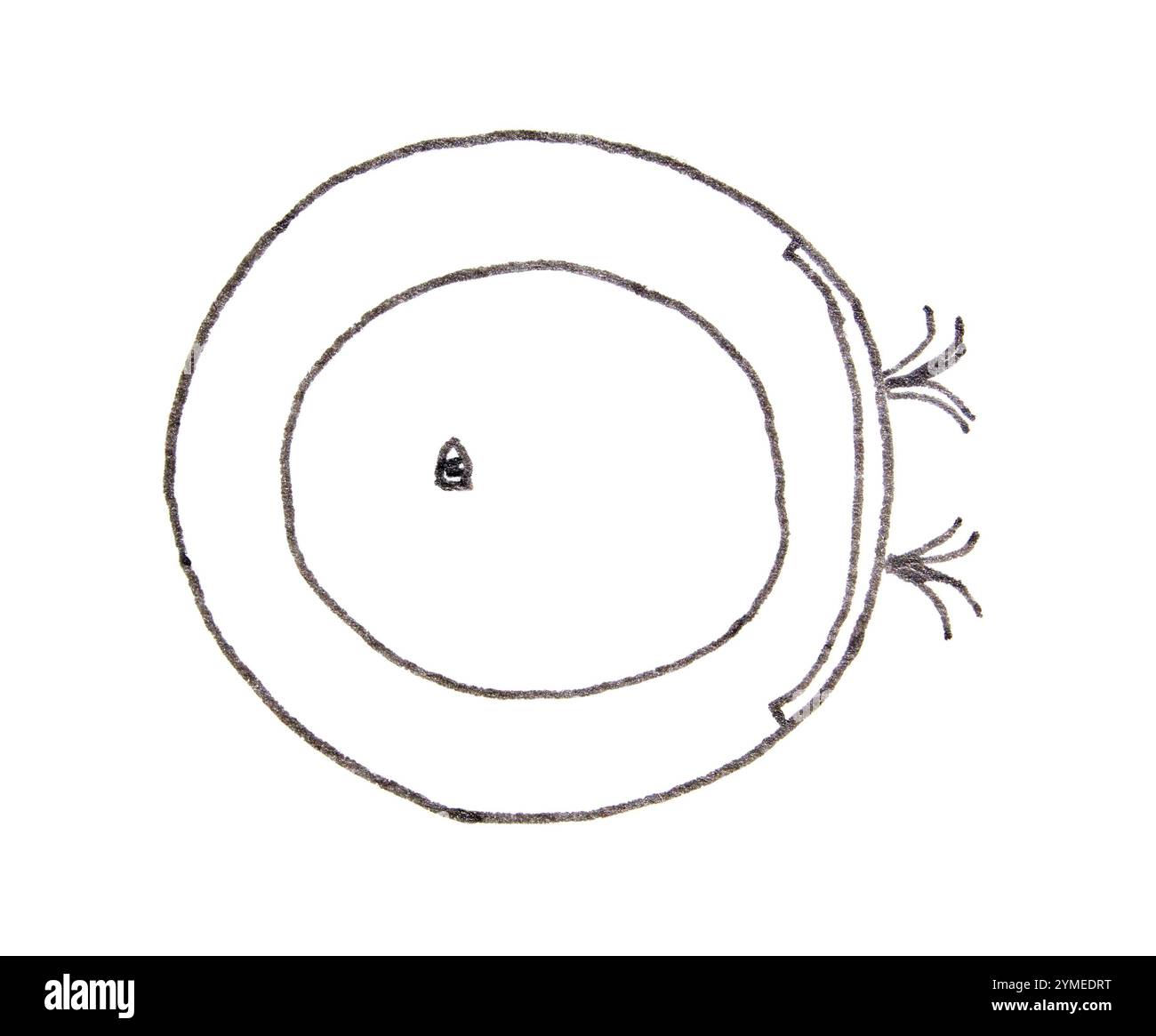 Abstract black and white drawing of a simplified eye with minimalistic ...