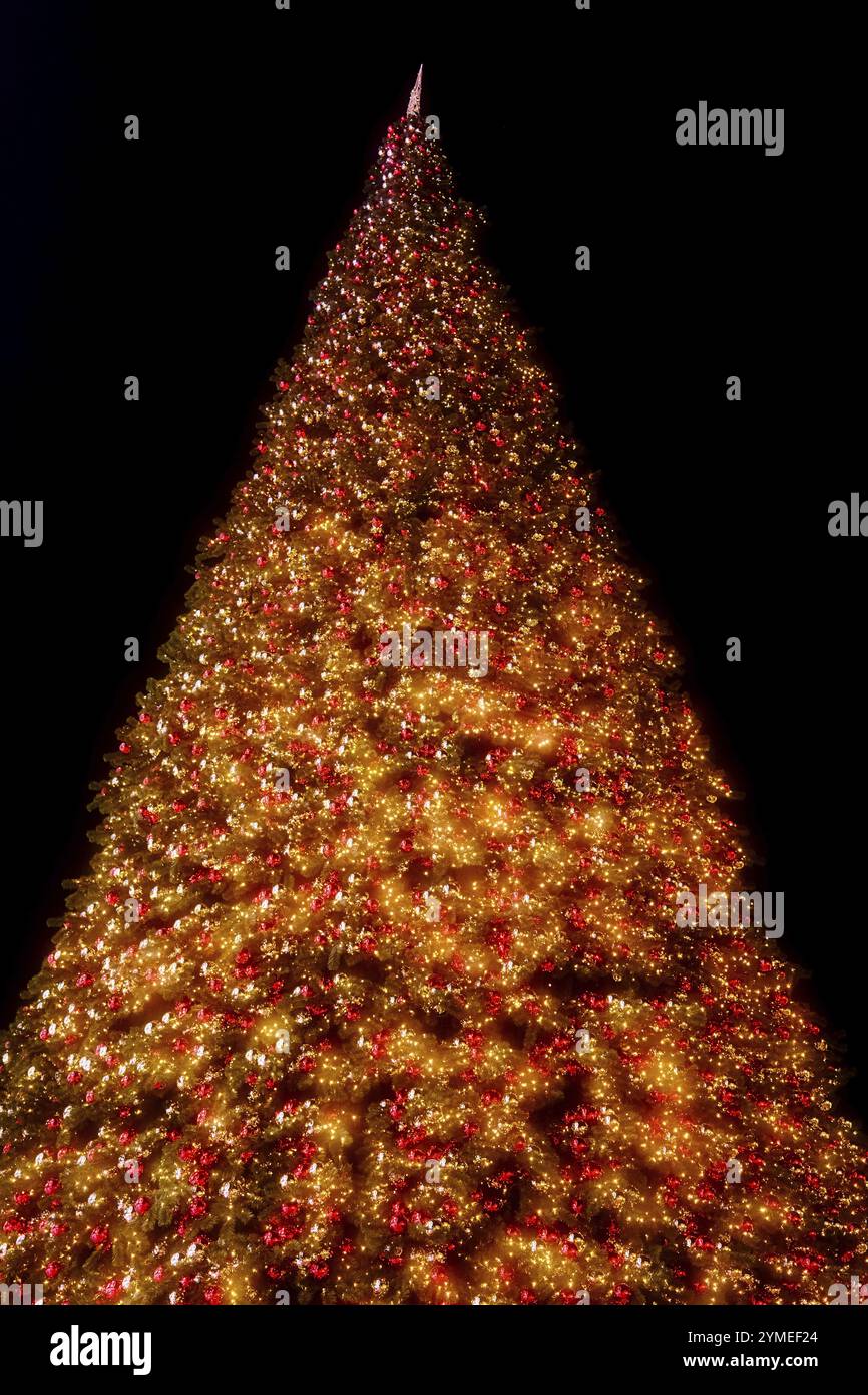 Large Christmas tree with lights, night shot, Roermond, Netherlands ...