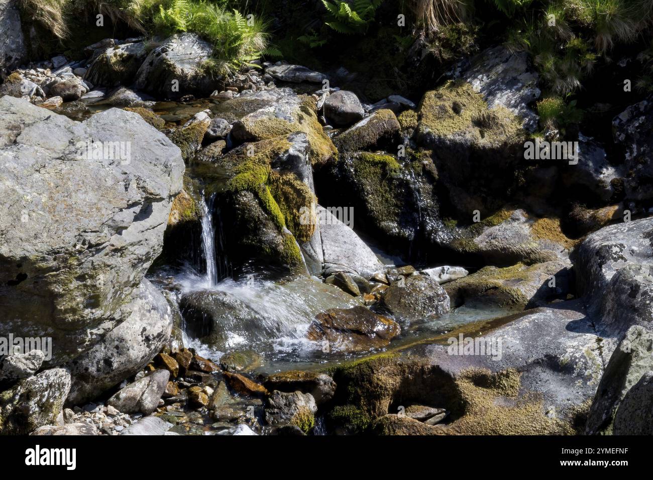 Spring trickle hi-res stock photography and images - Alamy