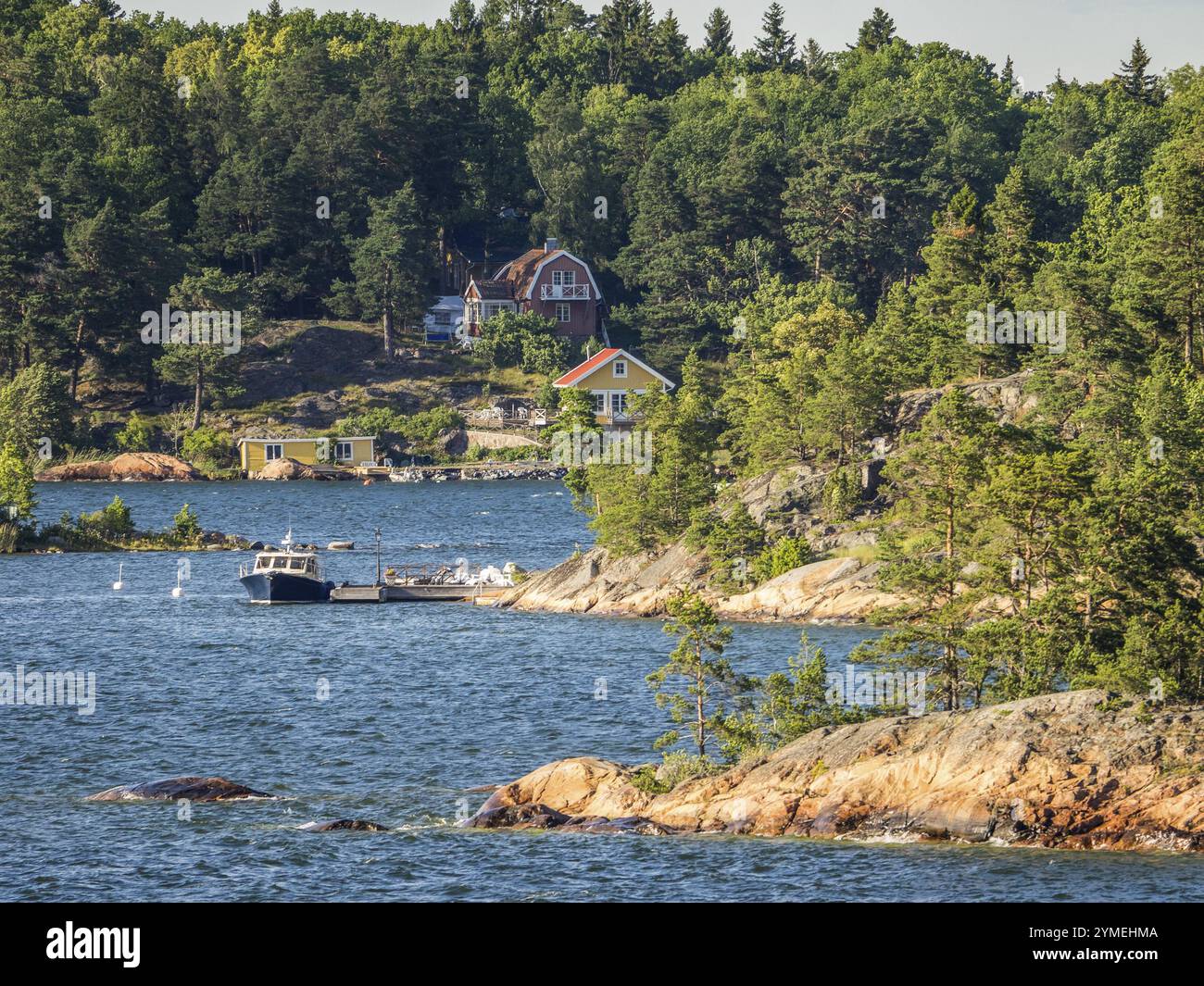 Summer houses on rocky coast with surrounding forest landscape ...