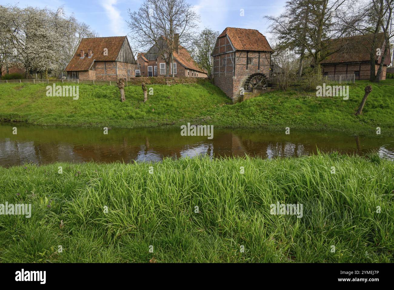 Traditional brick houses by a river, surrounded by green spring ...