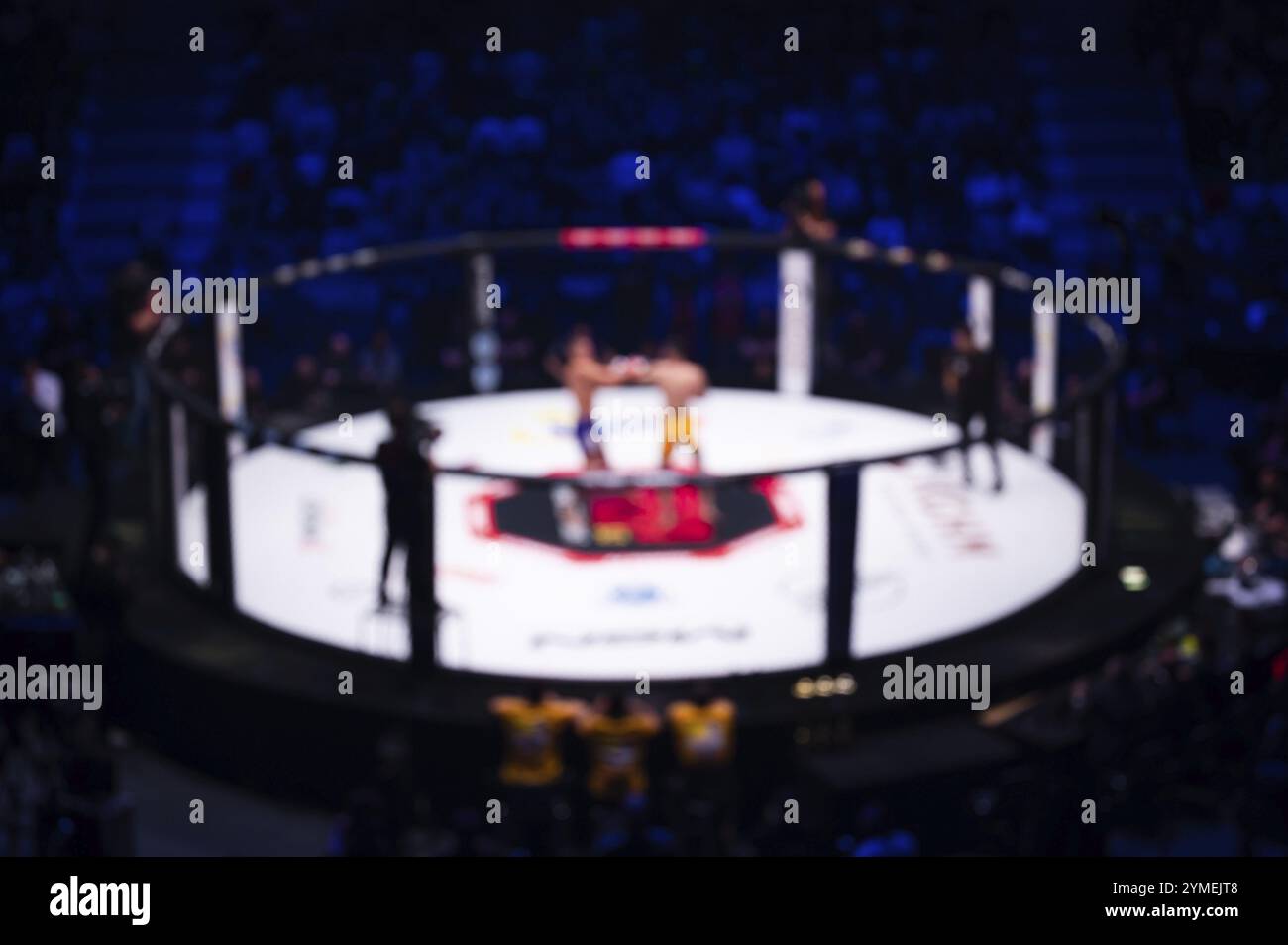 Mma ring hi-res stock photography and images - Alamy