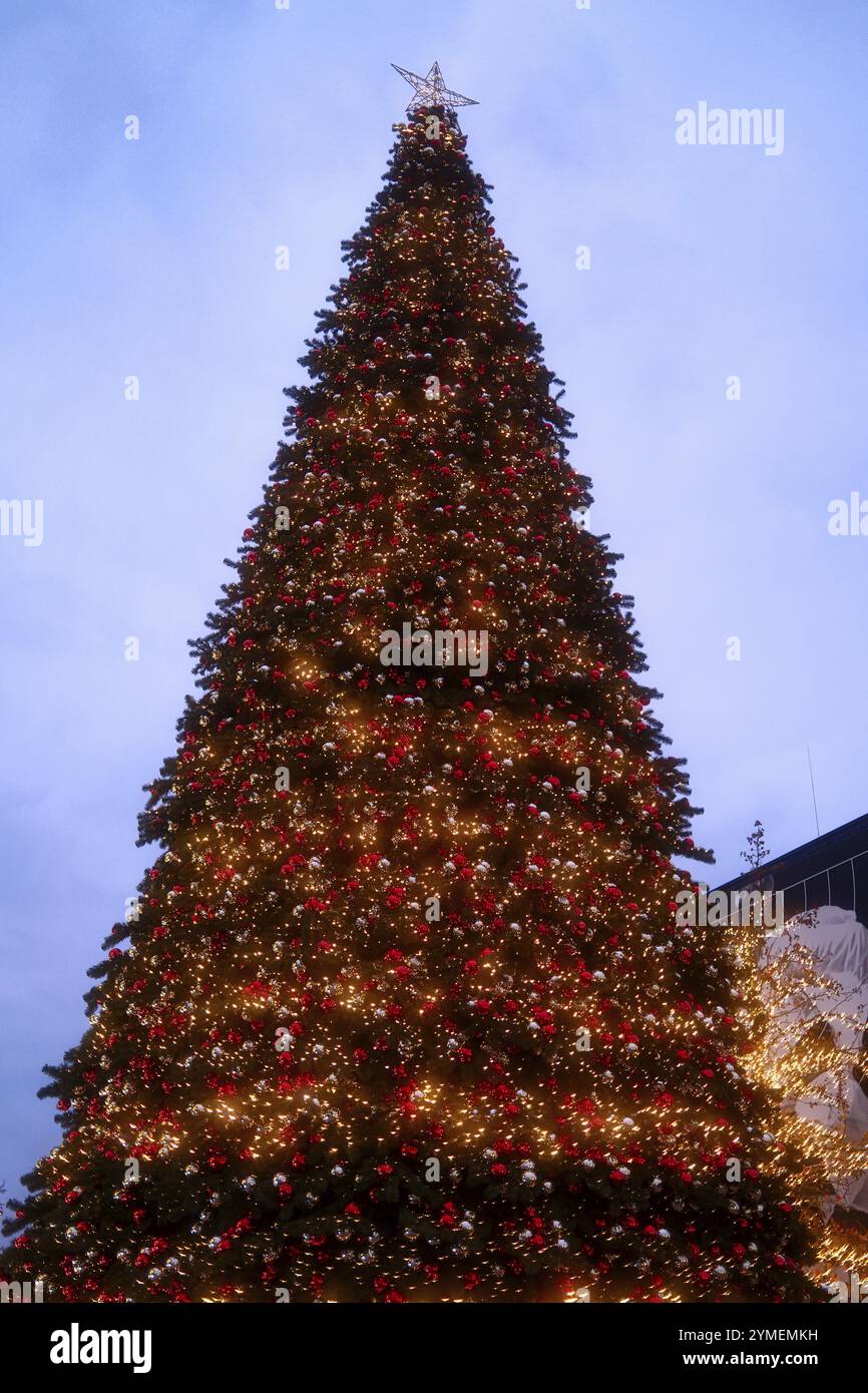 Large Christmas tree with lights, Roermond, Netherlands Stock Photo - Alamy