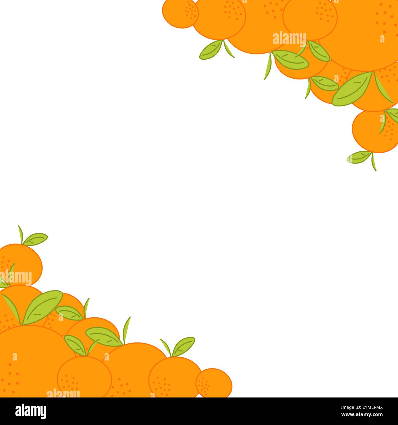 Oranges mandarins with leaves forming a decorative border on a ...