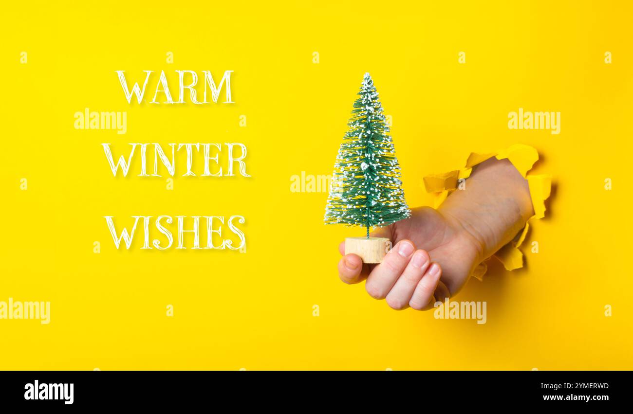 Hand holding a small Christmas tree in front of a yellow background ...