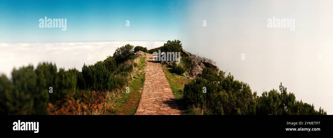 PR1 trail, Pico do Arierio To Pico Ruivo Hike, On Madeira Island ...