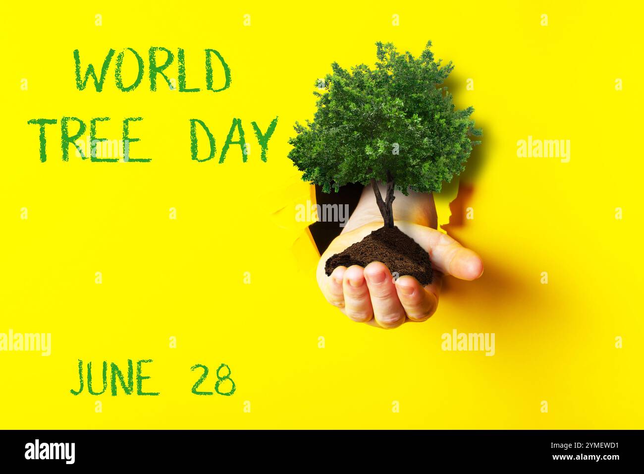Hand holding a tree in front of a yellow background with the words ...