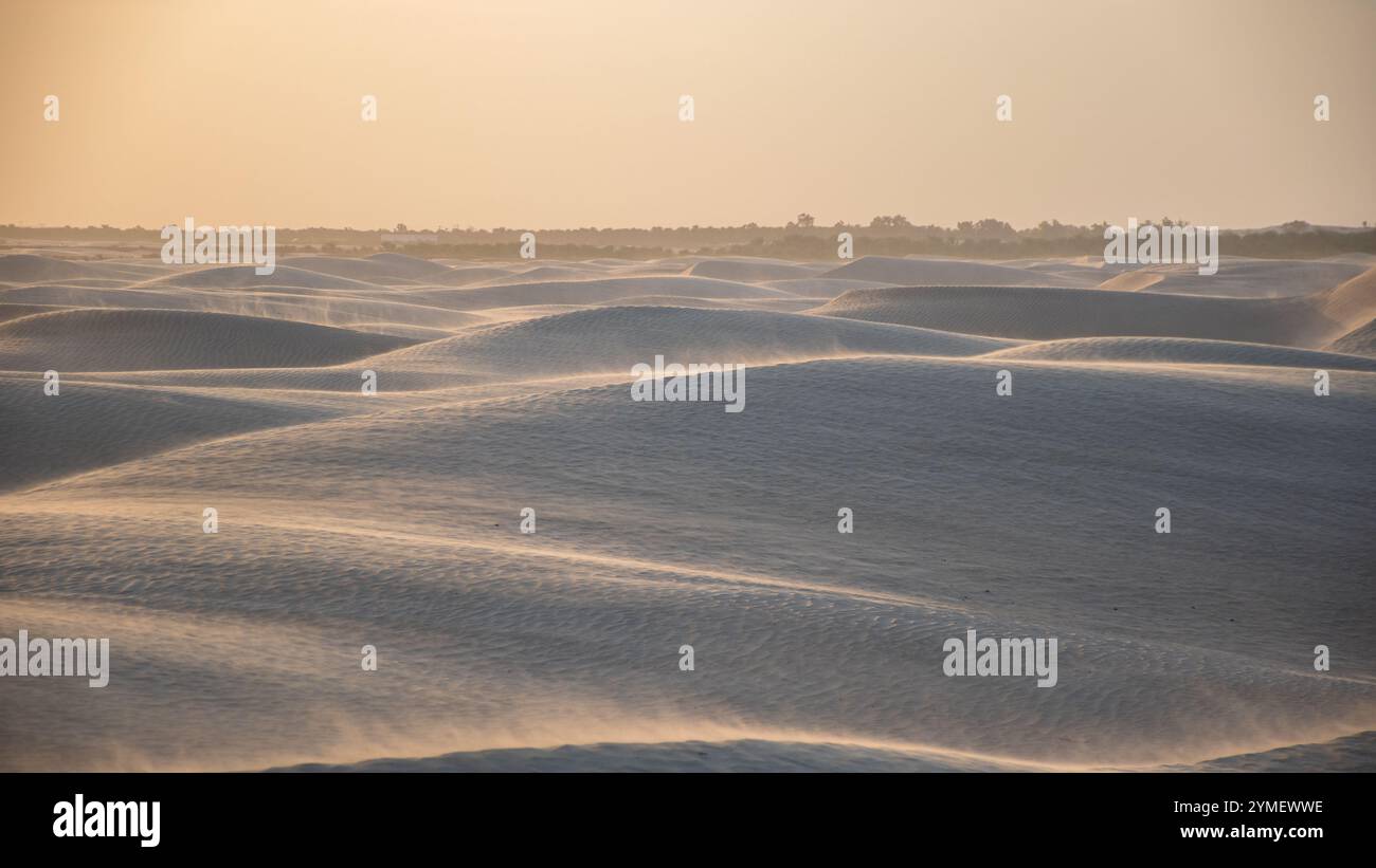 Landscapes around the city of Hammamet and the Sahara desert Stock ...