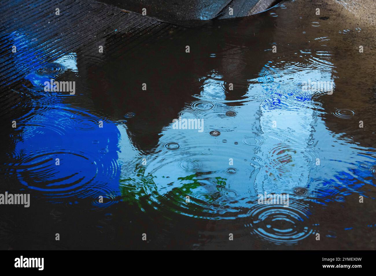Rain falls in a puddle in Times Square, Thursday, Nov. 21, 2024 in New ...
