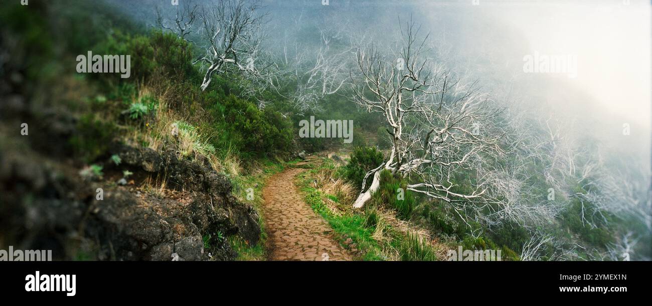 PR1 trail, Pico do Arierio To Pico Ruivo Hike, On Madeira Island ...