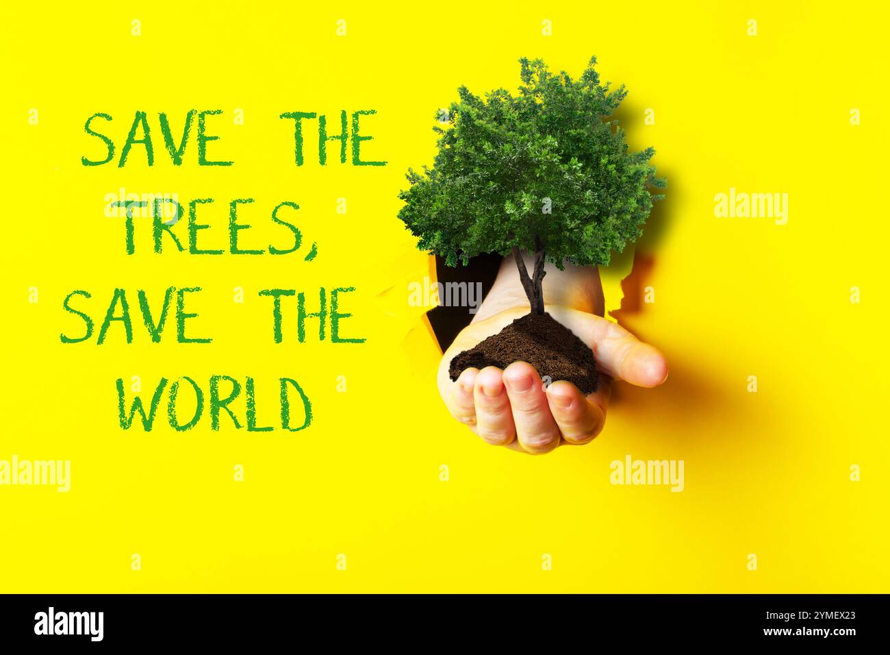 Hand holding a tree in front of a yellow background with the words Save ...