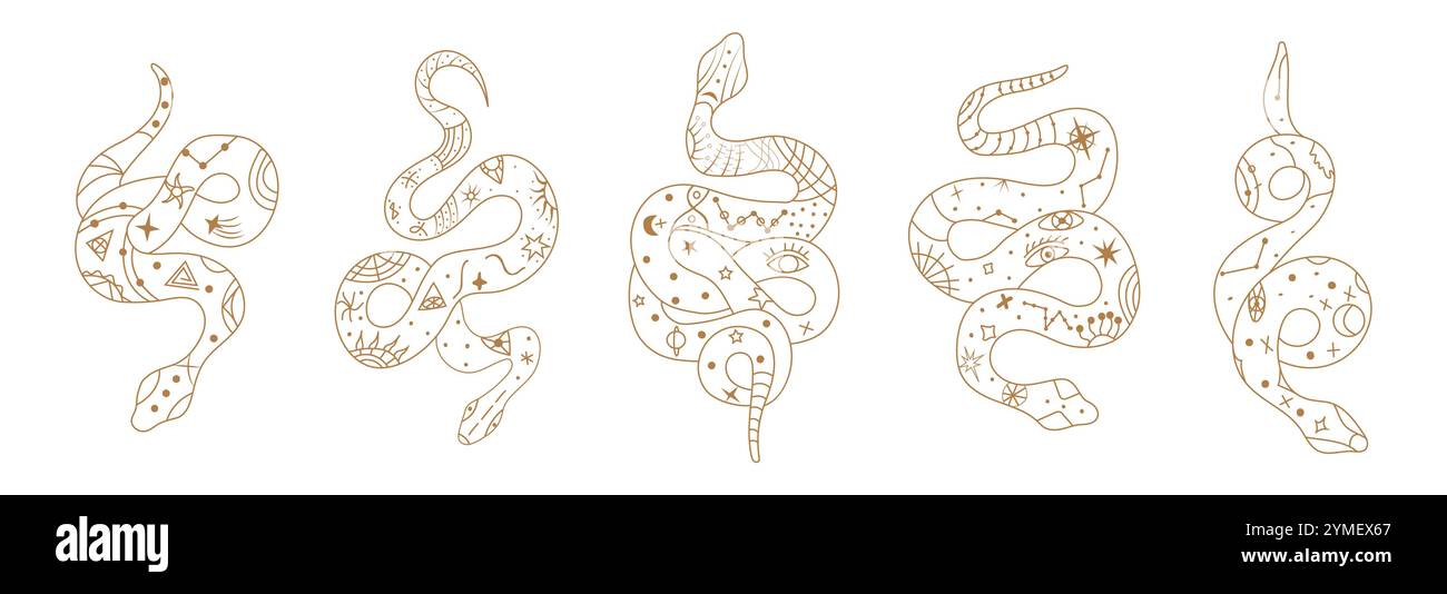 Mystical esoteric snakes illustrated in a clean linear style. The ...