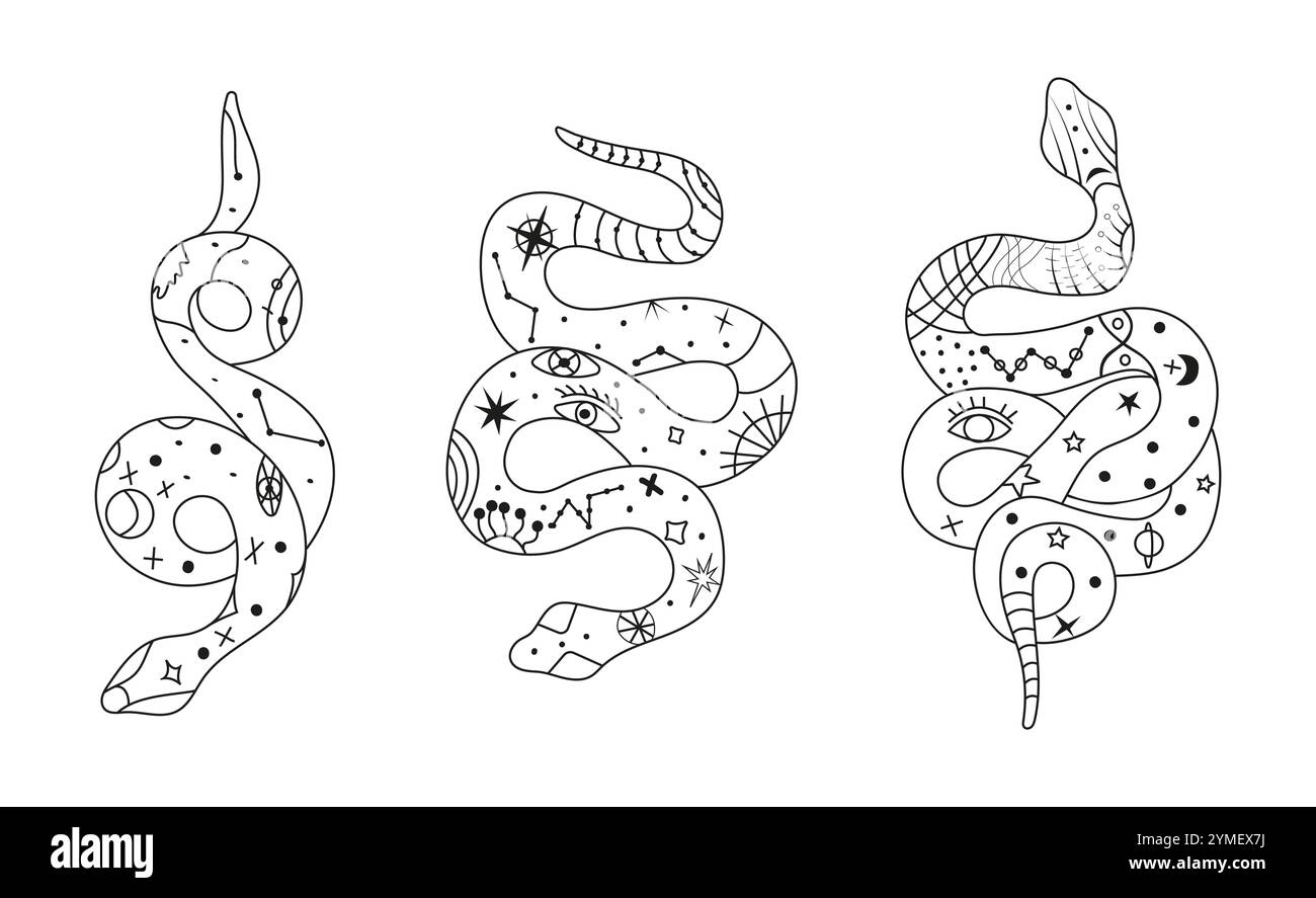 Mystical esoteric snakes illustrated in a clean linear style. The ...