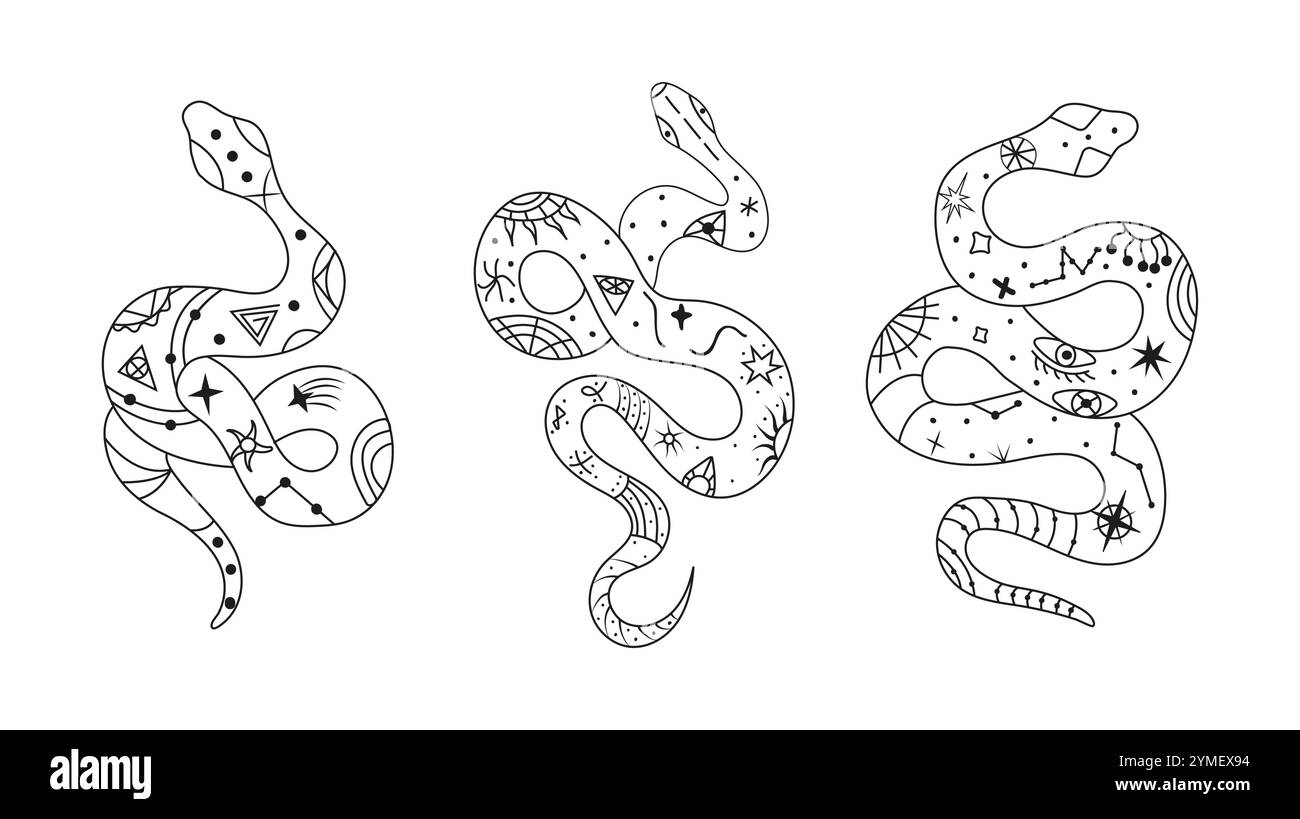 Mystical esoteric snakes illustrated in a clean linear style. The ...