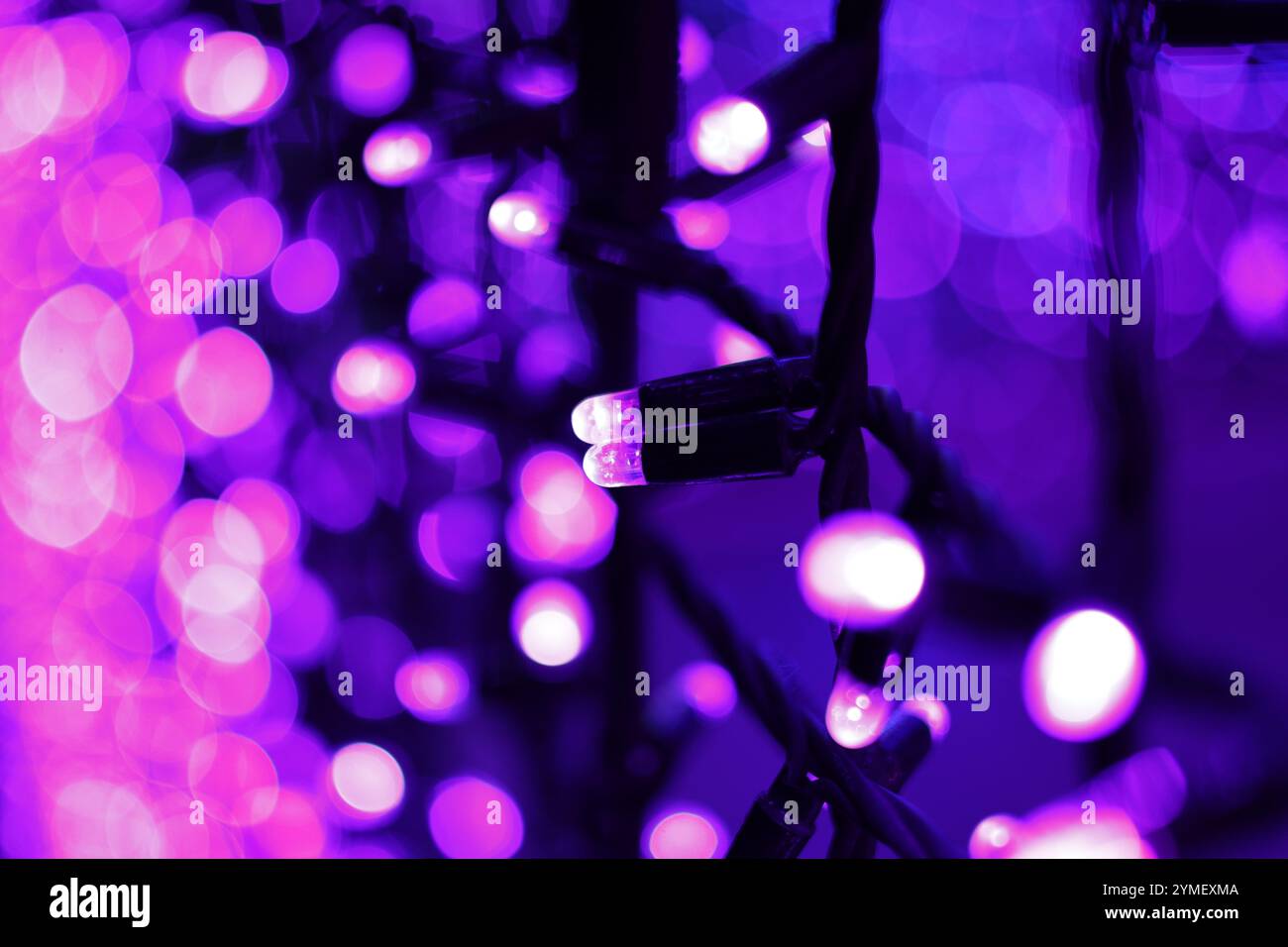 A soothing glow of purple LED Lights- combining beauty, modernity, and ...