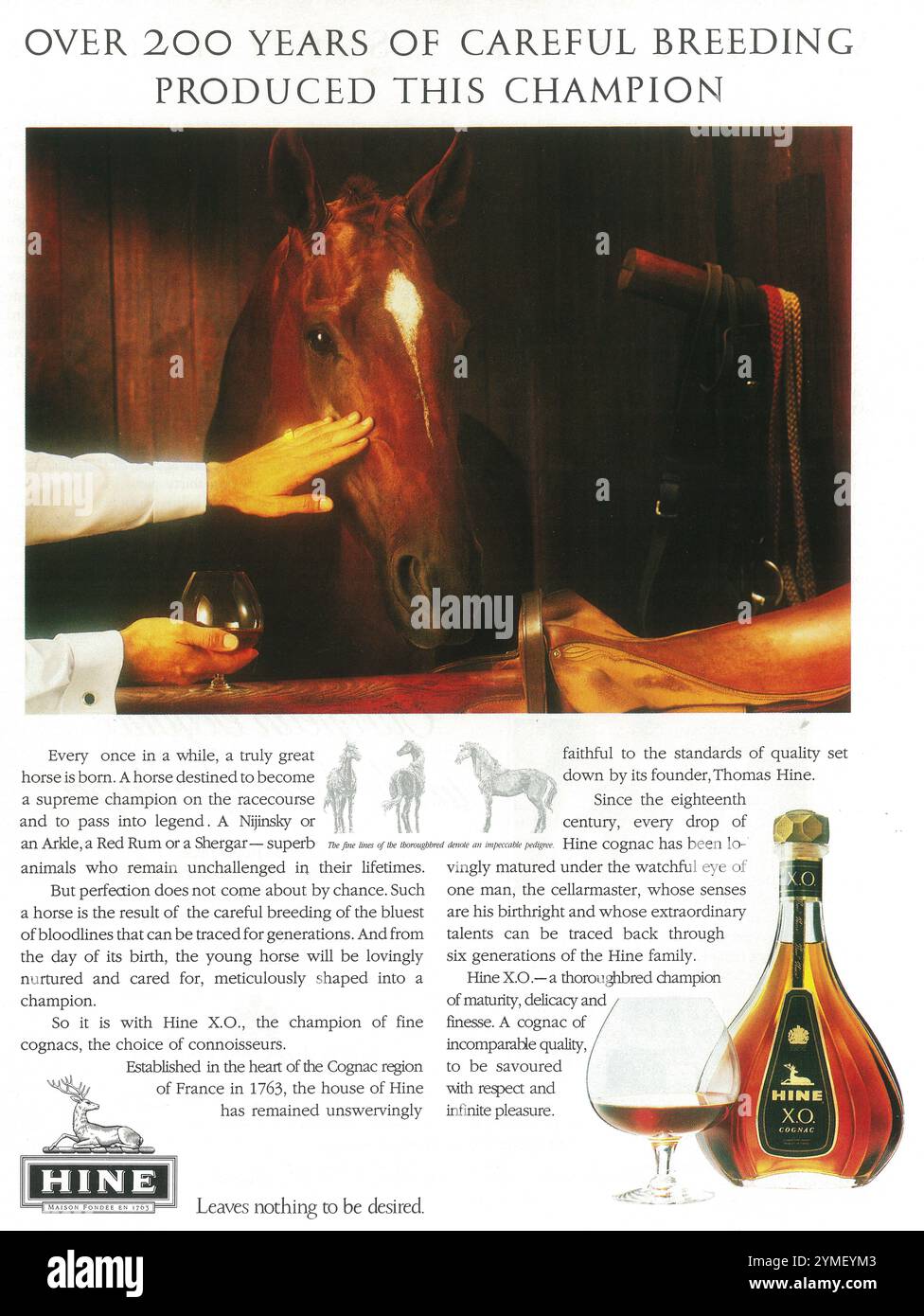 Cognac ad hi-res stock photography and images - Alamy