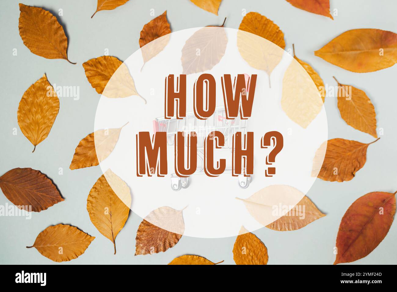 Leafy background with the words How much written in bold letters. The ...