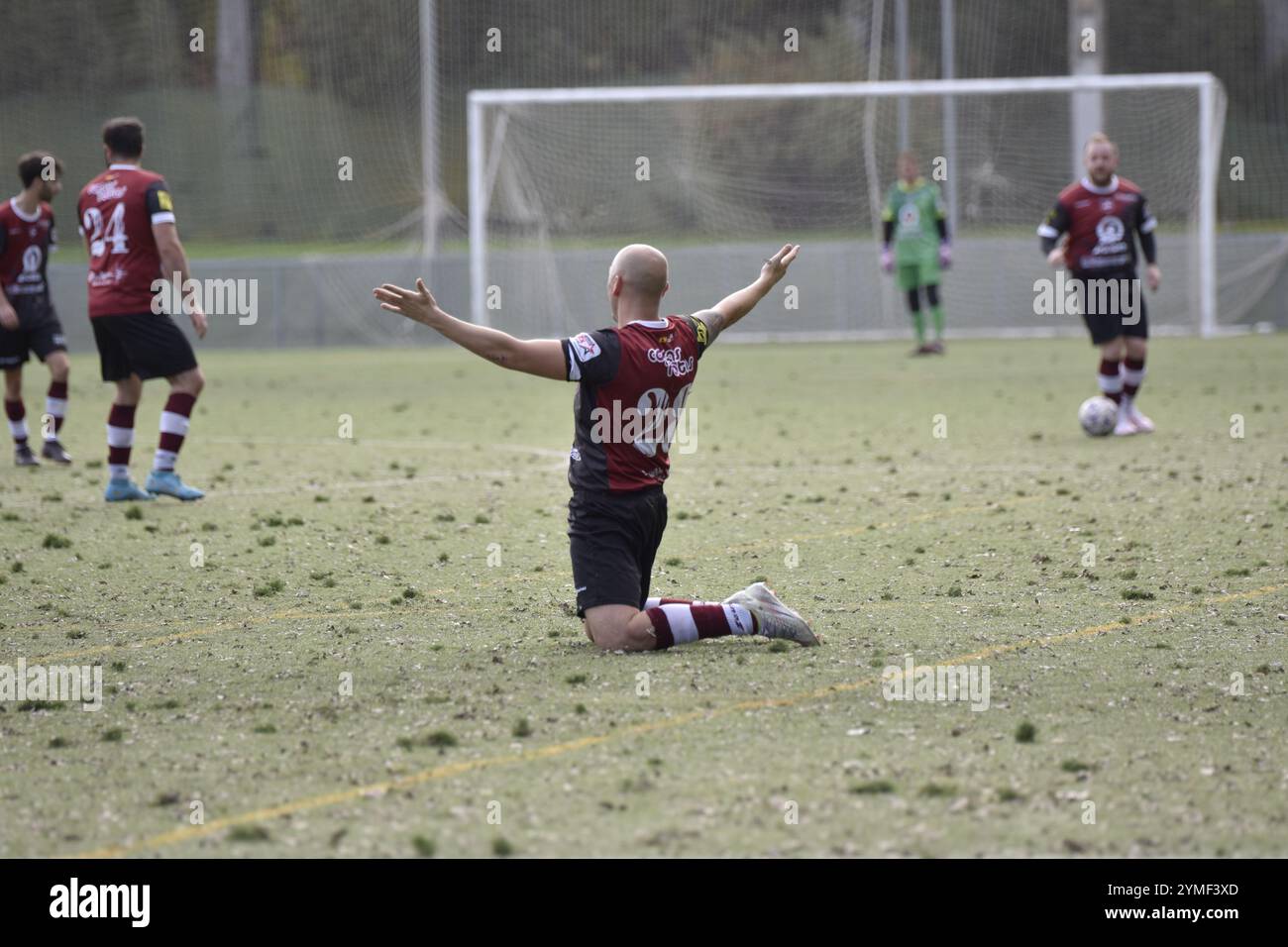 soccer team celebration Stock Photo - Alamy