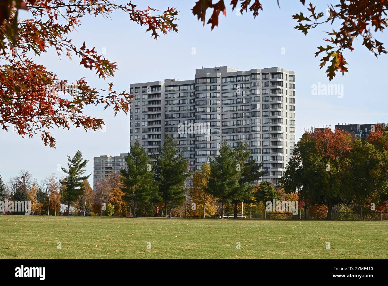 Autumn leaf colour in a public park with an apartment building Stock ...
