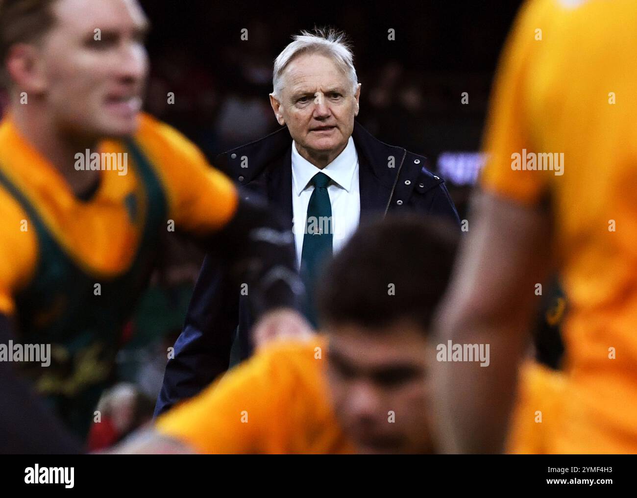 Australia head coach Joe Schmidt before the Autumn Nations series rugby ...