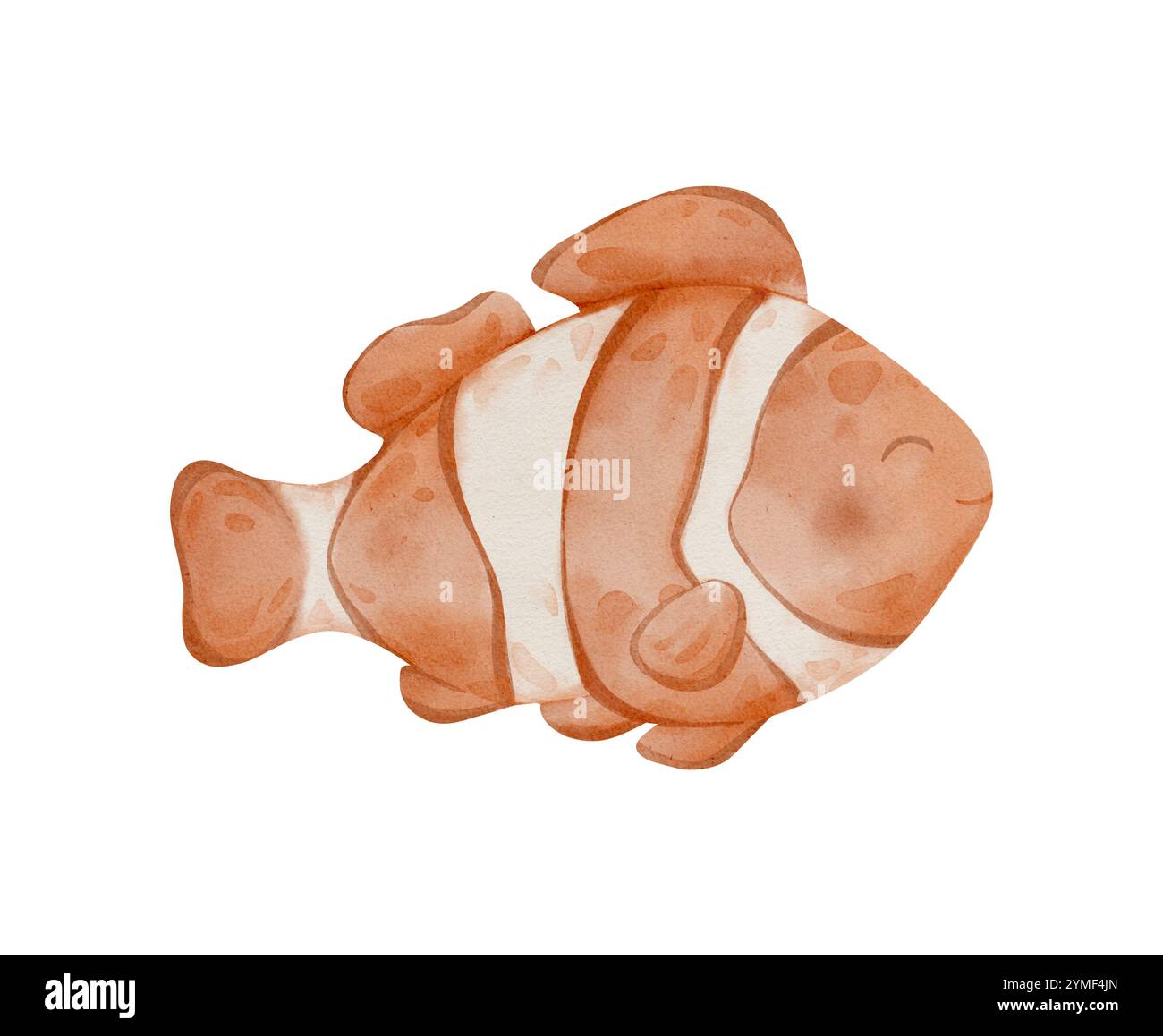 Watercolor clown or nemo Fish, . Hand drawn illustration of aquarium ...
