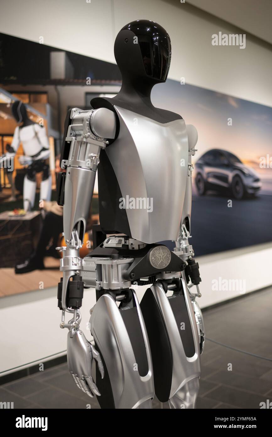 21.11.2024, US-Elektroauto-Hersteller TESLA stellt sein Autonomes ...