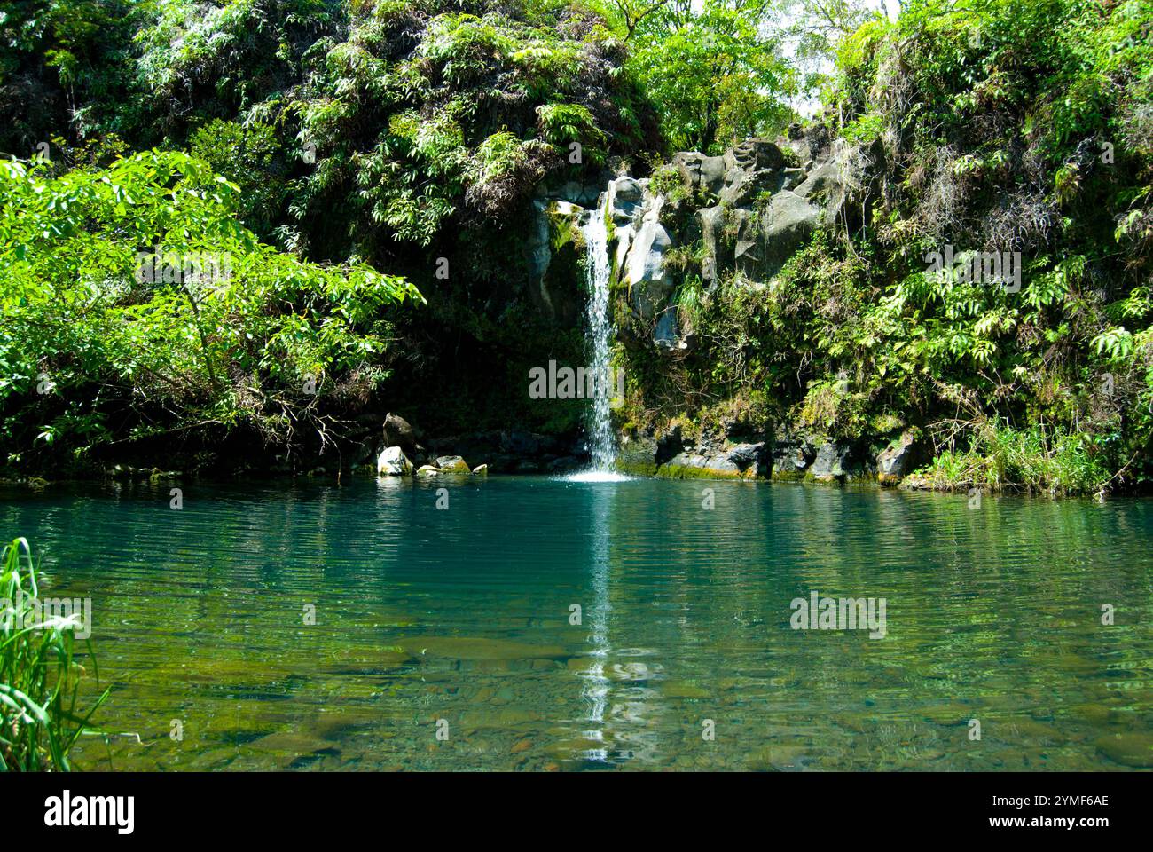 Waterfall into Pool of Water near the Road To Hana, Maui Hawaii Stock ...