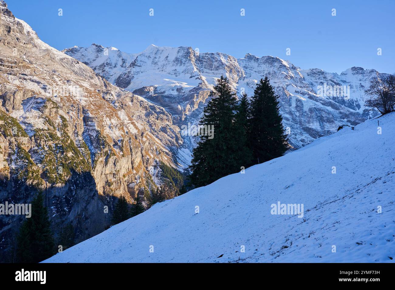 Landscape with the Swiss alps in a cold sunny November day, powdered ...