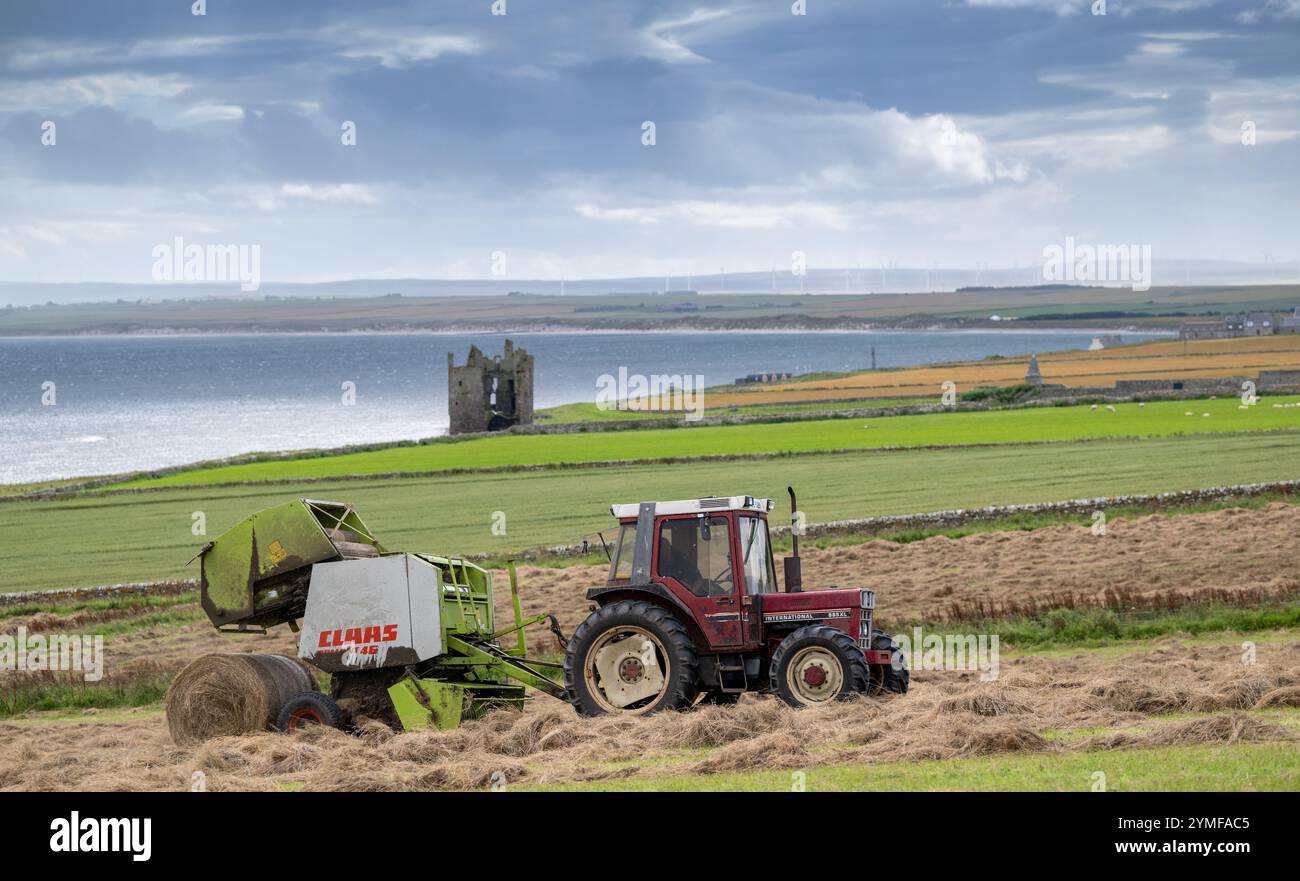 Farmer baling round bales of hay with a vintage International tractor and Claas baler ...
