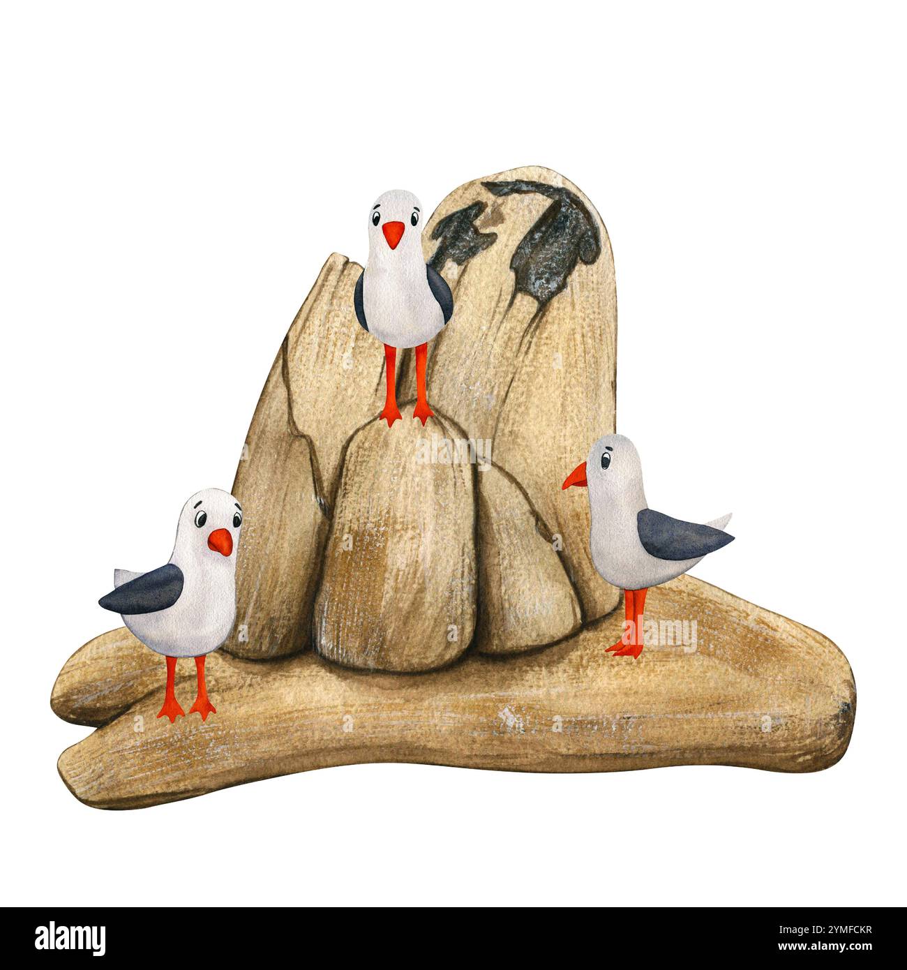 Watercolor illustration of seagulls on a rock. Hand drawn rock and ...