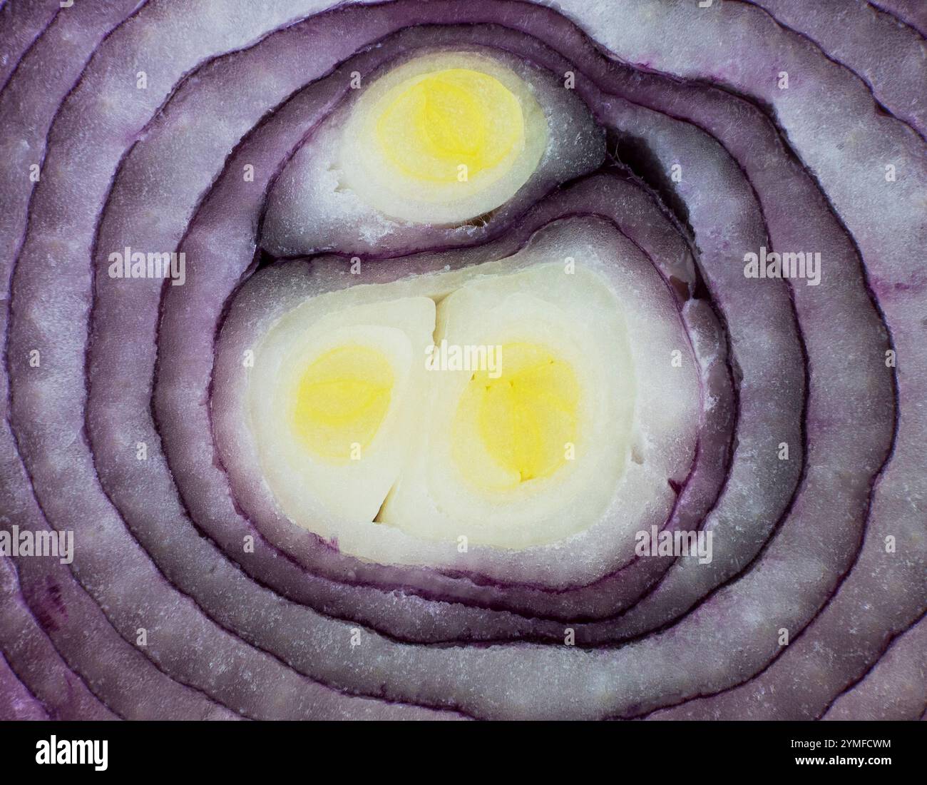 Showcasing its unique color and texture hi-res stock photography and ...