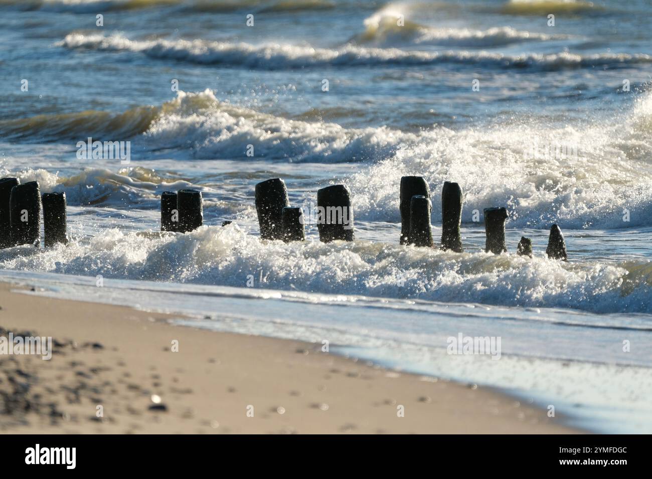 Ocean waves breaking against aged wooden pilings on a sandy beach ...