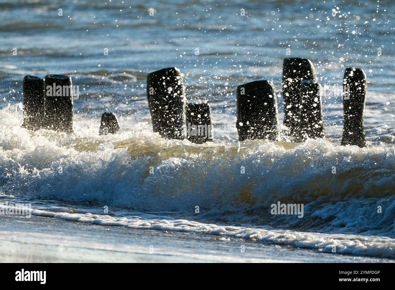 Weathered wooden posts on beach hi-res stock photography and images - Alamy