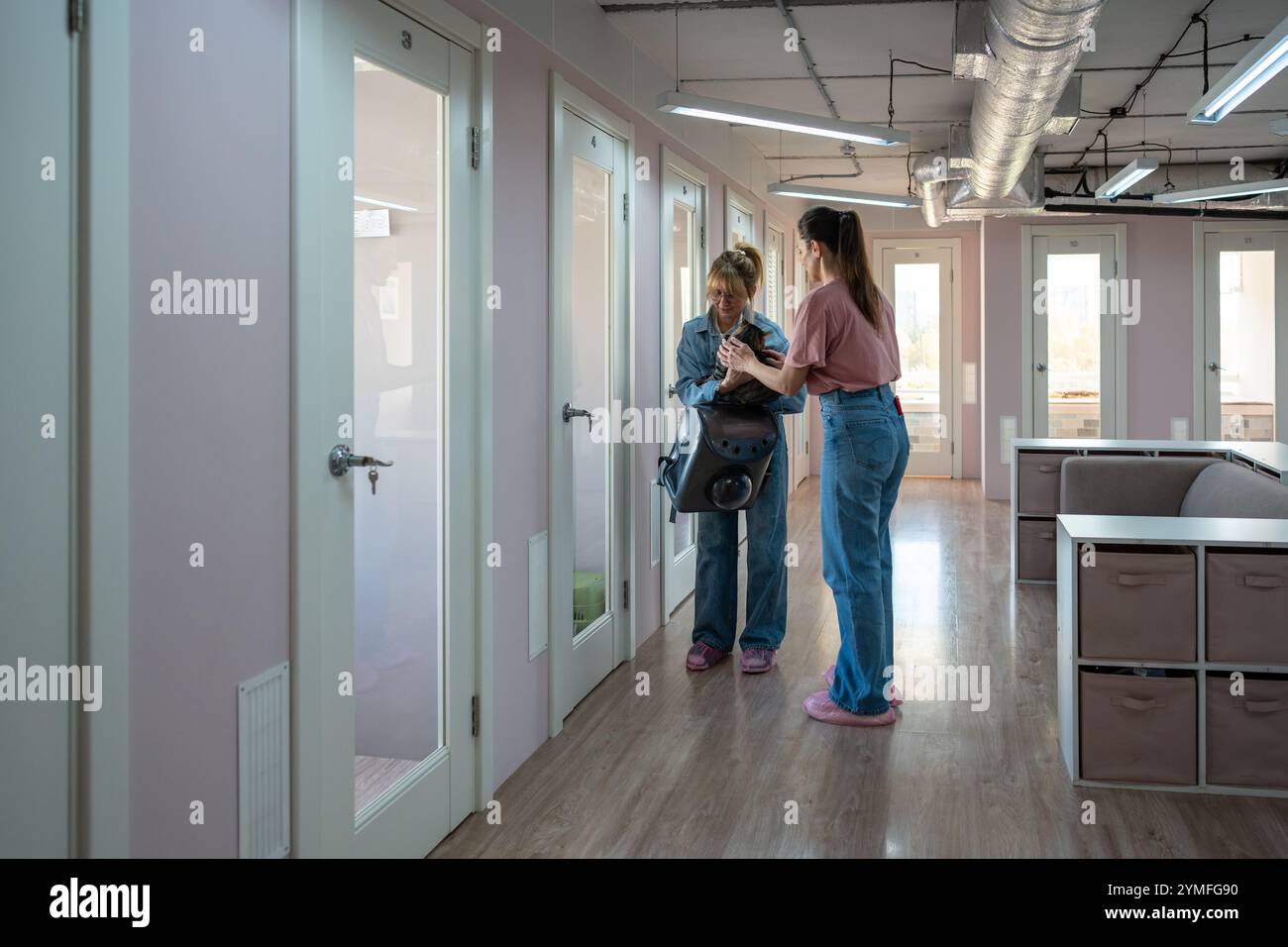 Cat hotel staff welcomes owner, taking pet, show cat rooms. Feline care ...