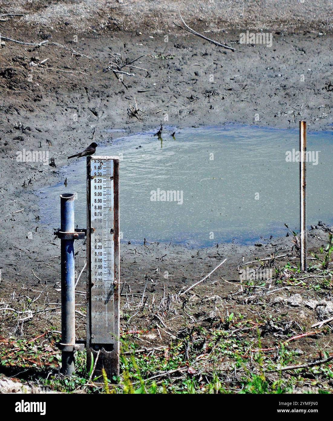 Flood level markers hi-res stock photography and images - Alamy