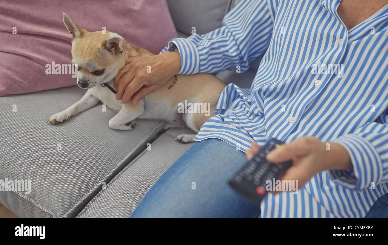 A middle-aged woman pets her chihuahua while holding a remote in a cozy ...