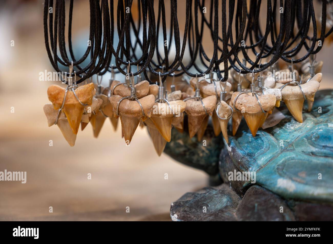 Bull with necklace hi-res stock photography and images - Alamy