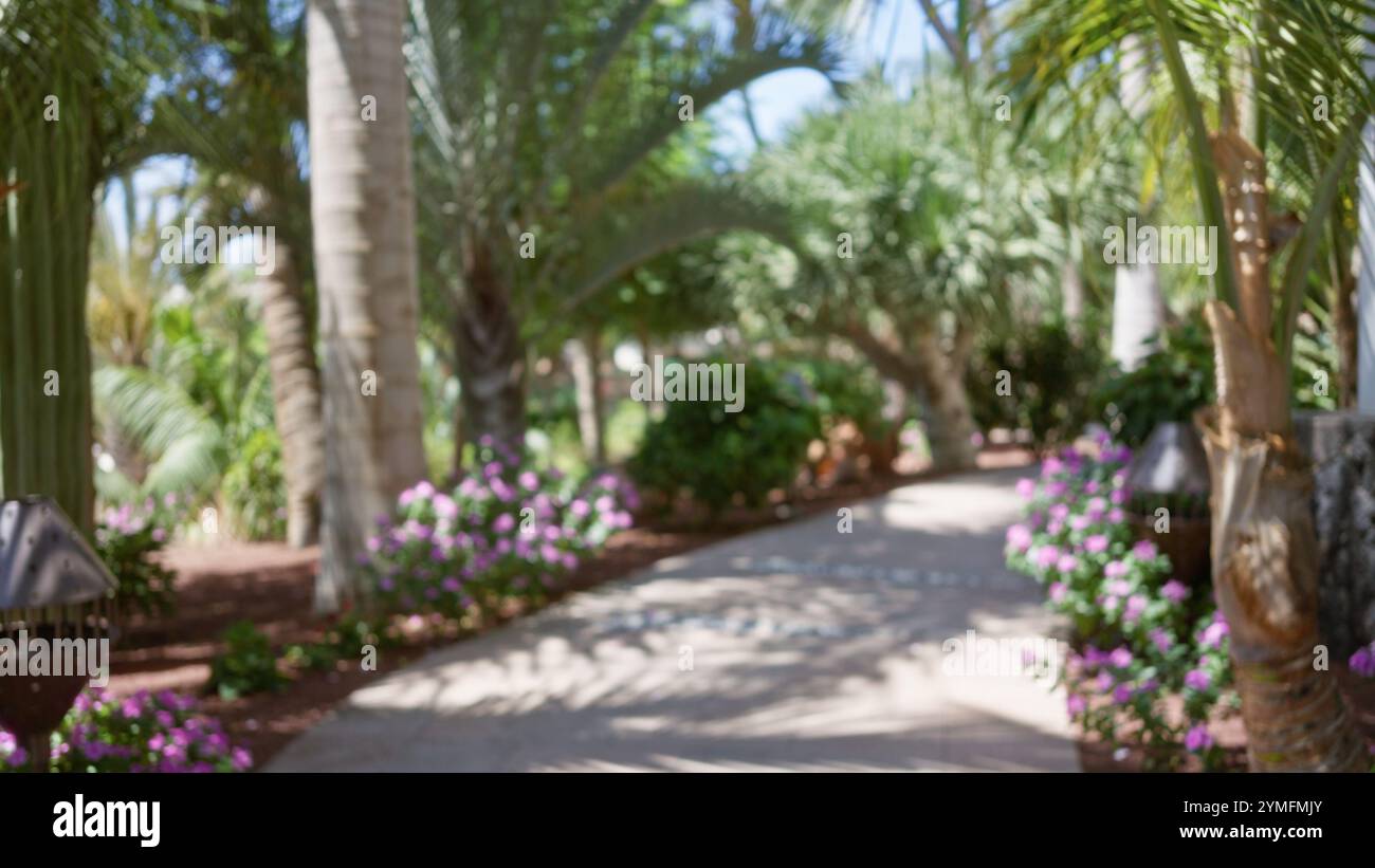 Blurred tropical resort pathway with lush greenery and colorful flowers ...