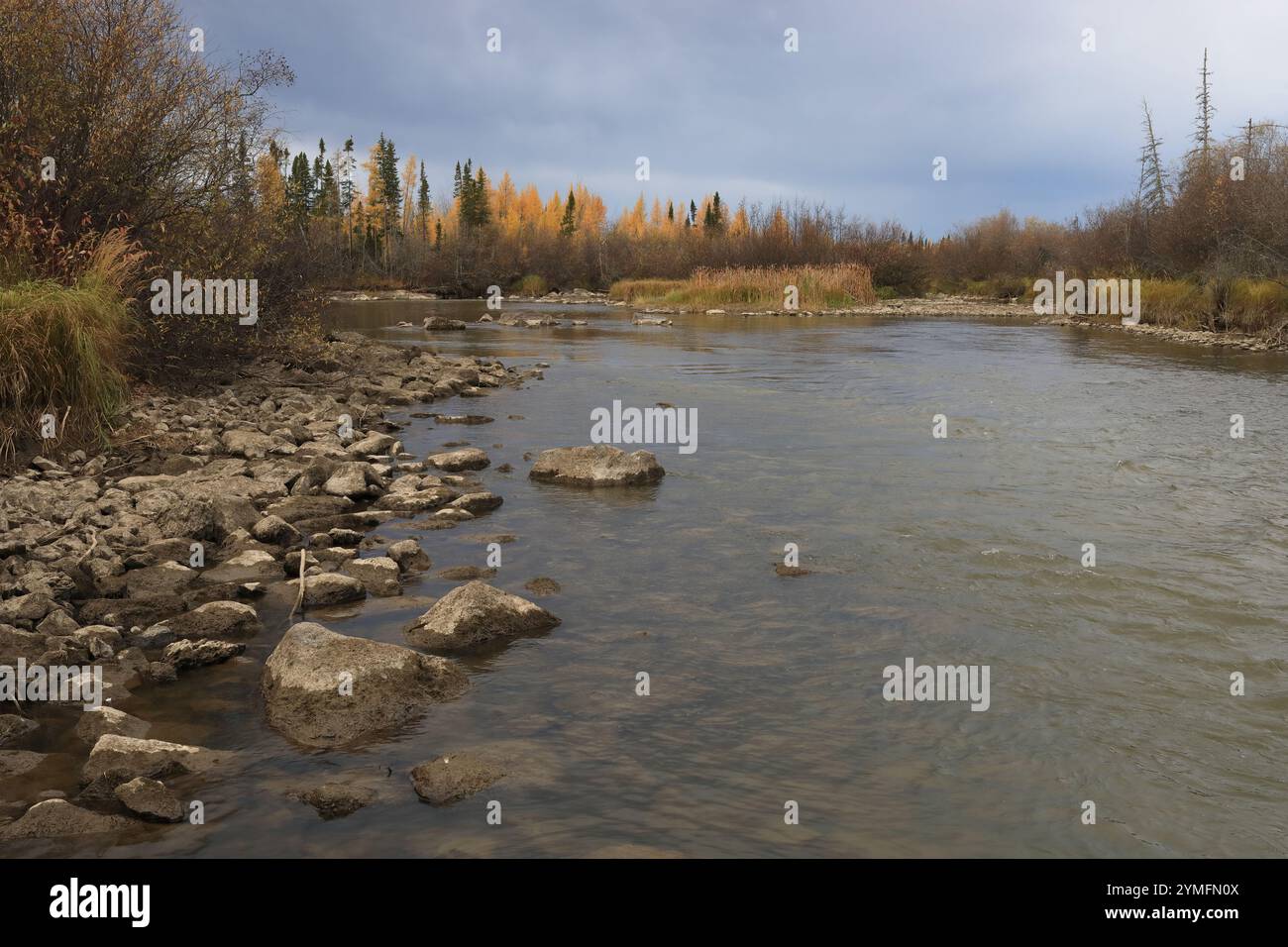 Fall colours manitoba hi-res stock photography and images - Alamy