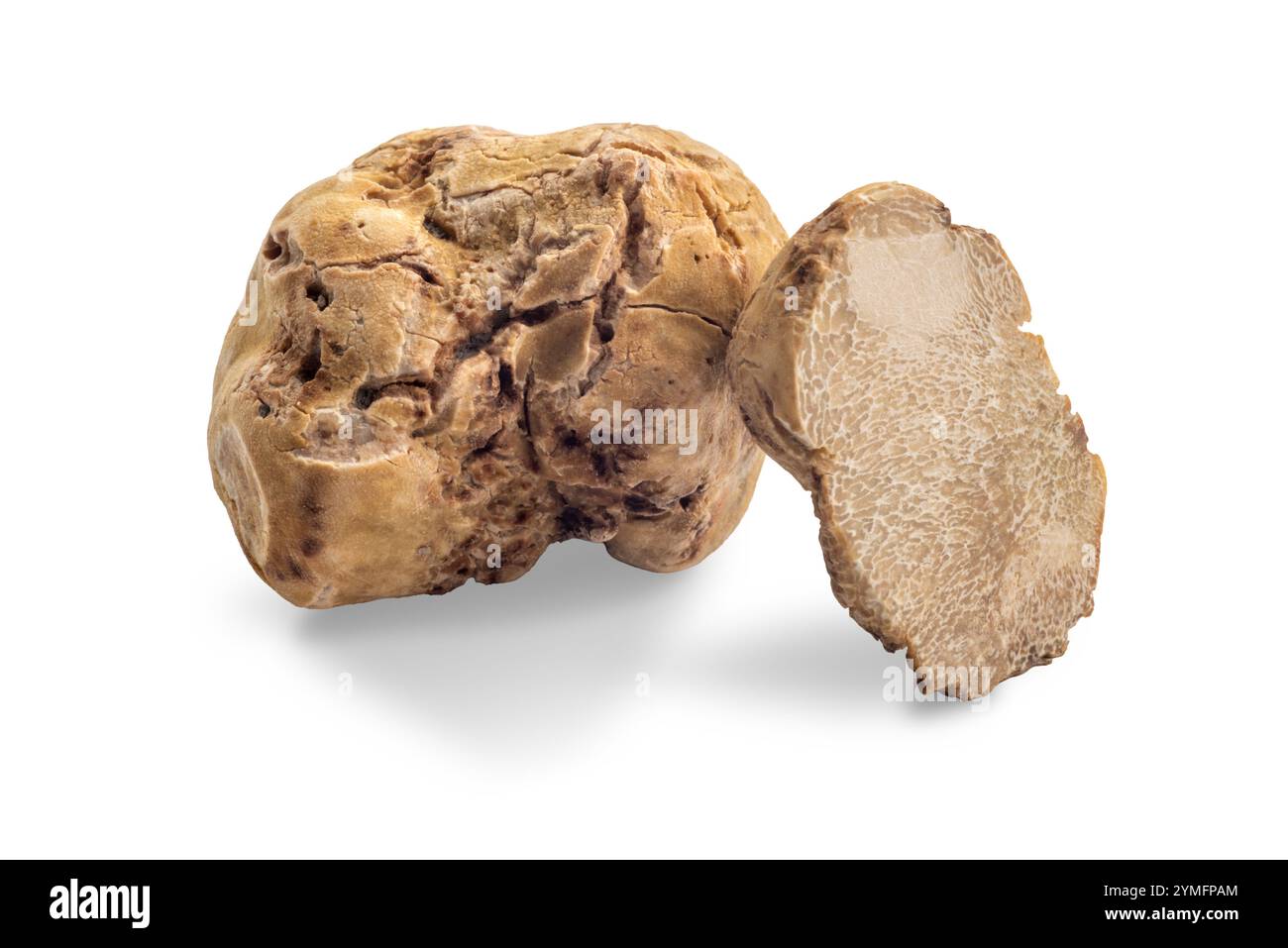 Whole Alba white truffle next to a cut one isolated on white with ...