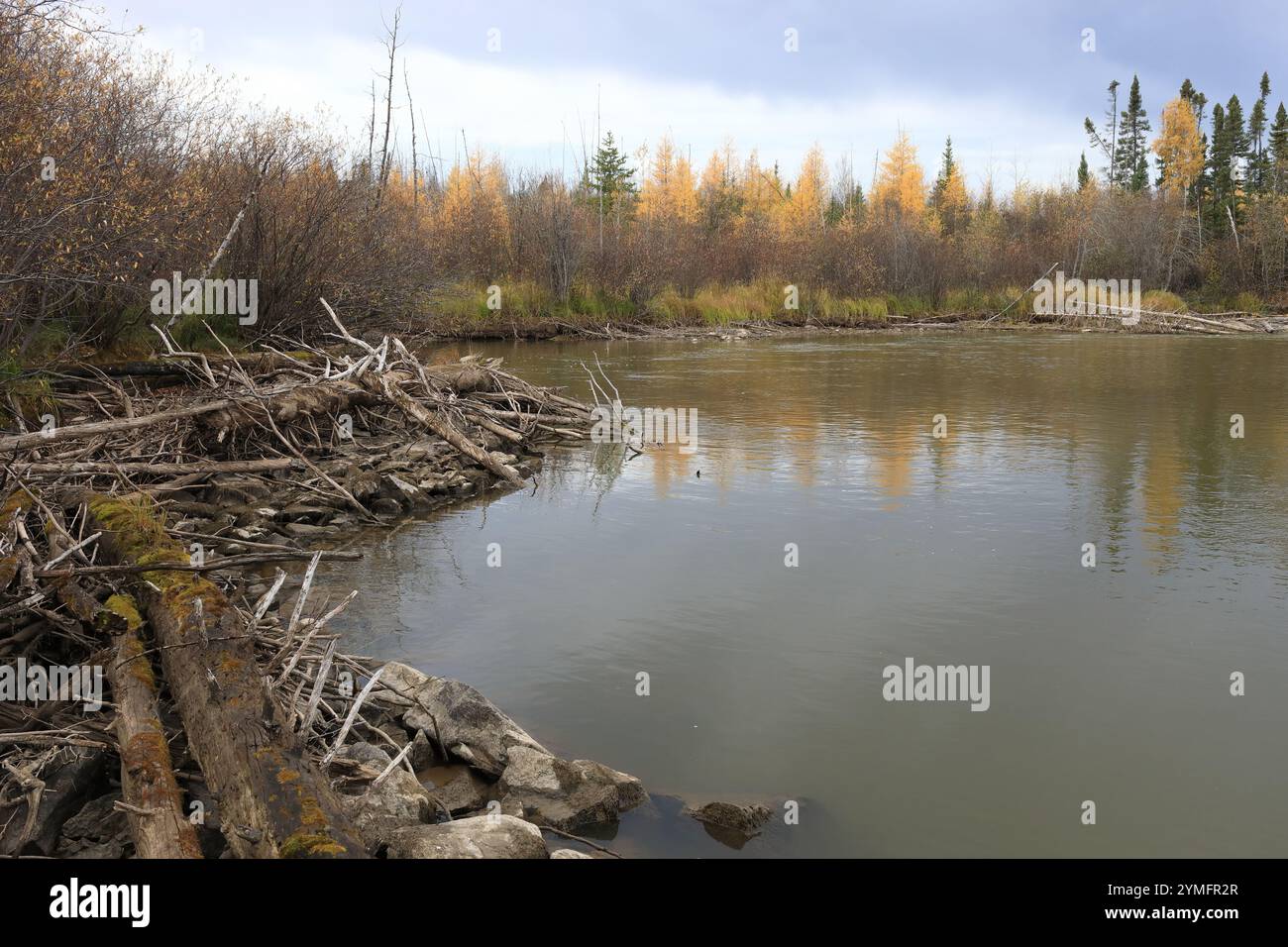 Fall colours manitoba hi-res stock photography and images - Alamy