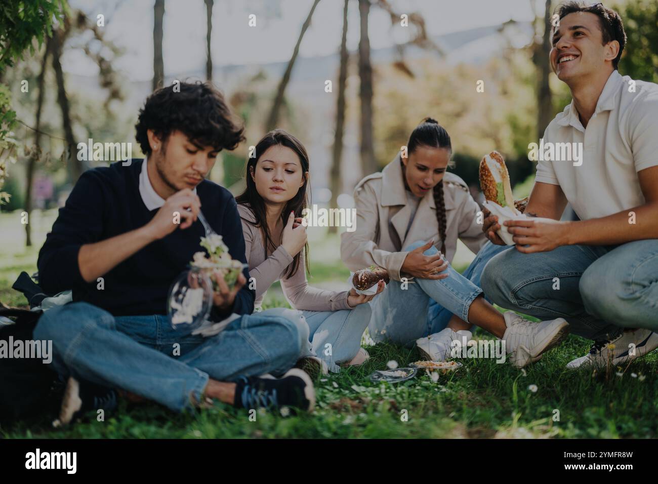 Group enjoys picnic in park hi-res stock photography and images - Alamy