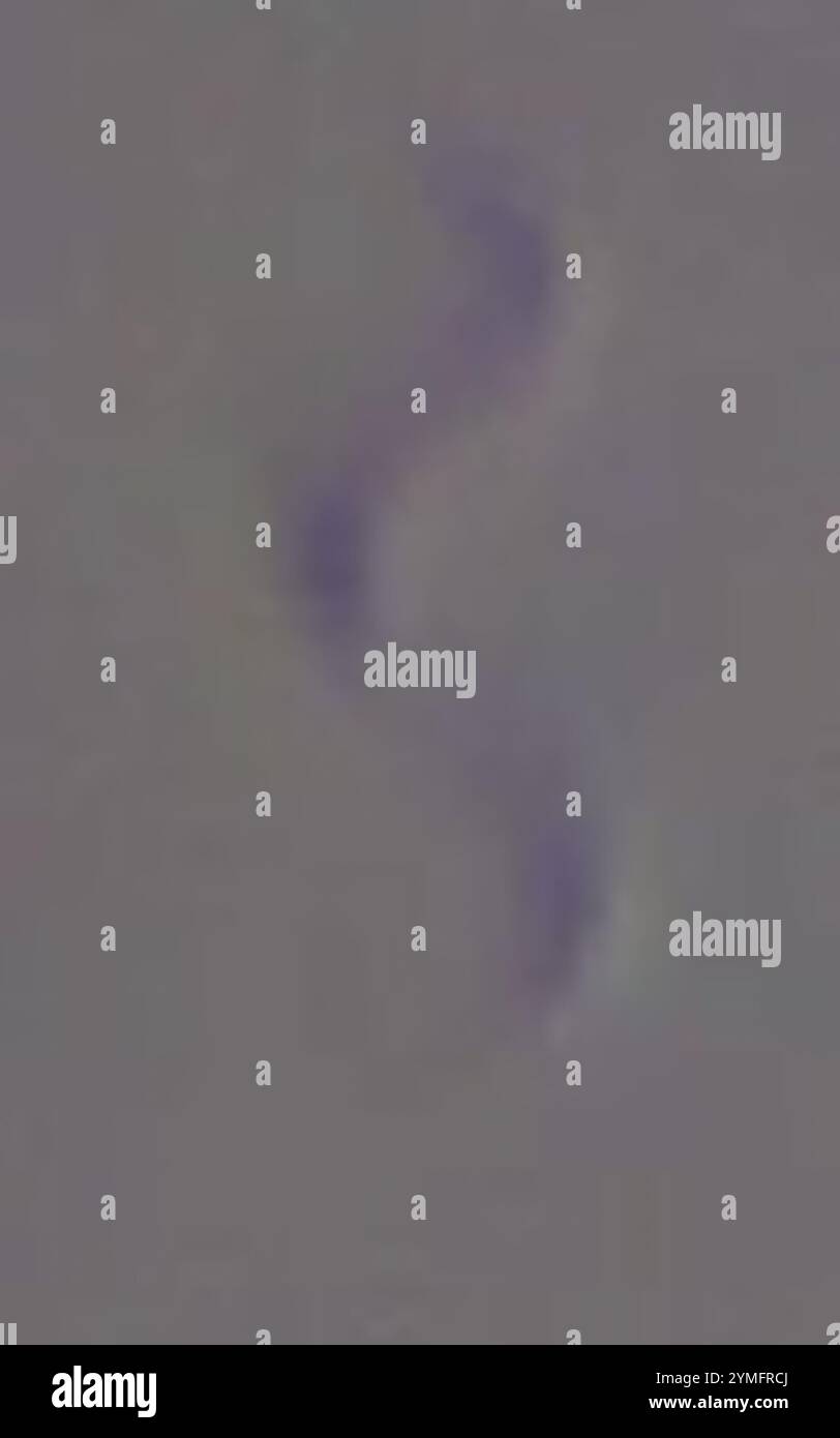 Spirillum hi-res stock photography and images - Alamy