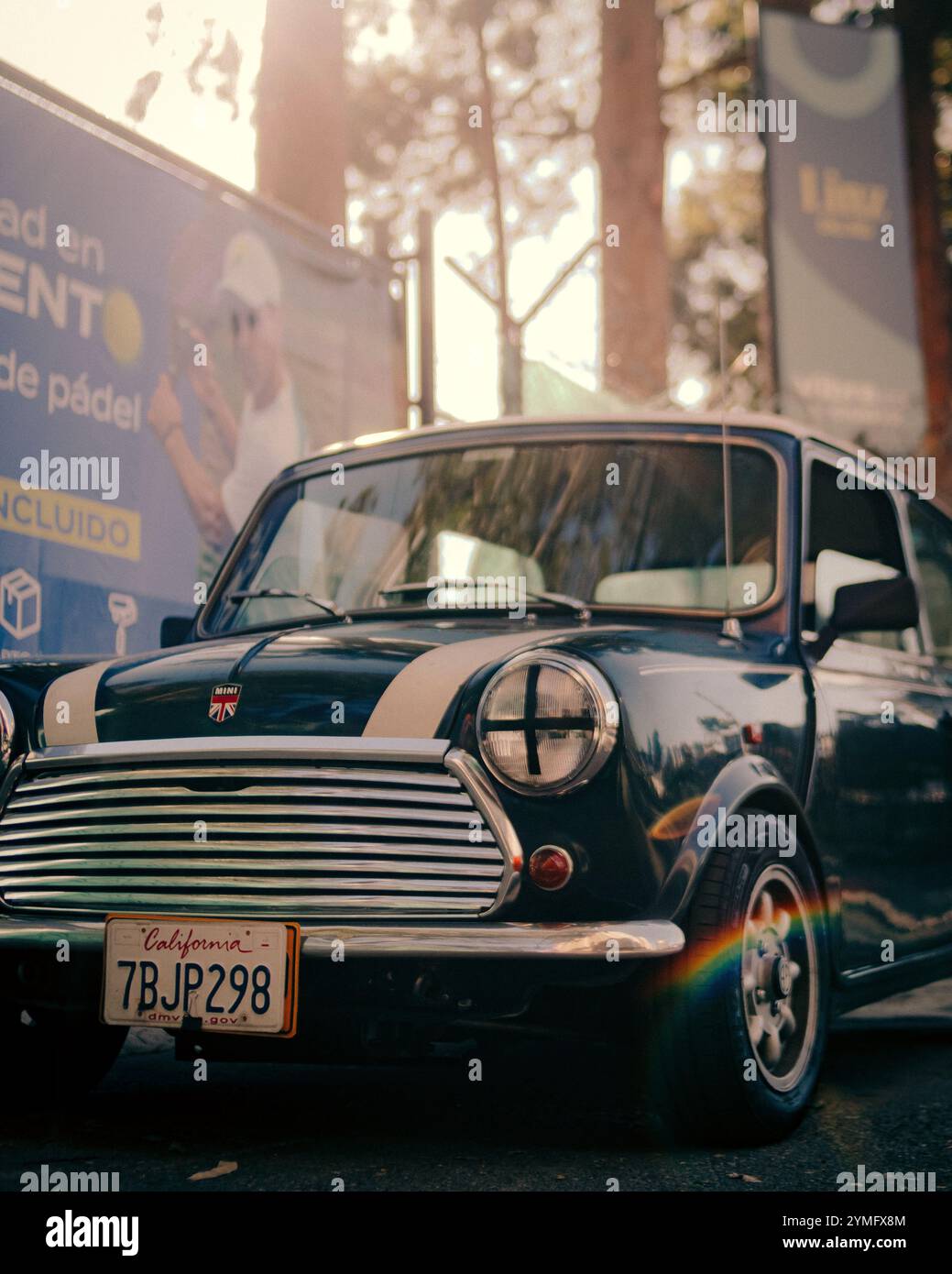 Mini cord in the wild. taken by me in medellin colombia Stock Photo - Alamy