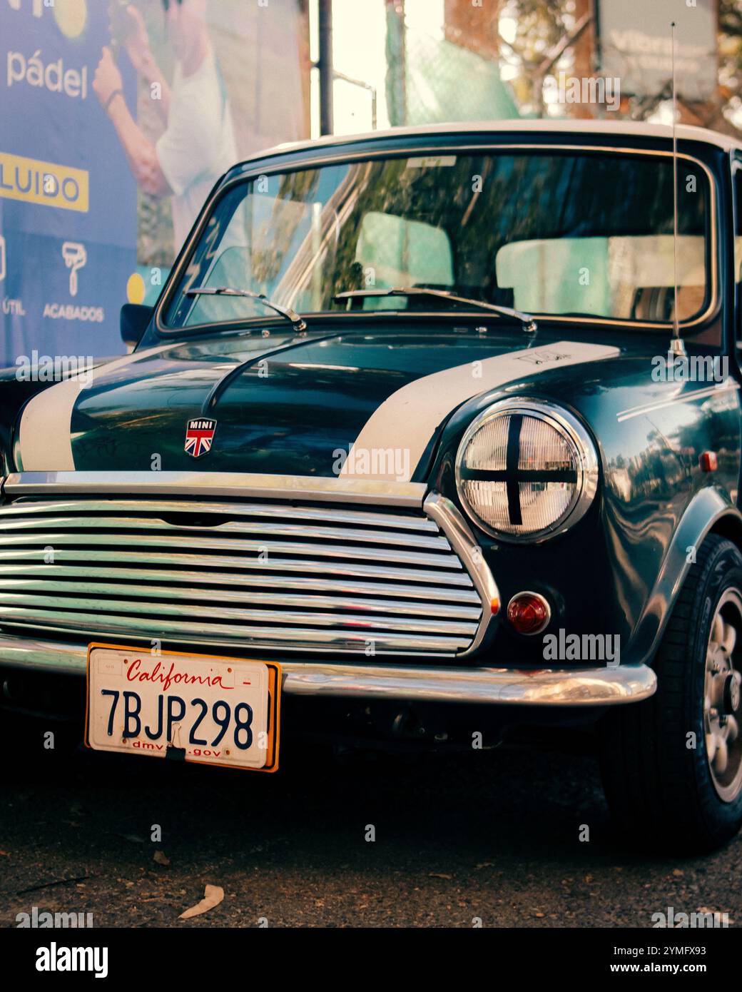 Mini cord in the wild. taken by me in medellin colombia Stock Photo - Alamy